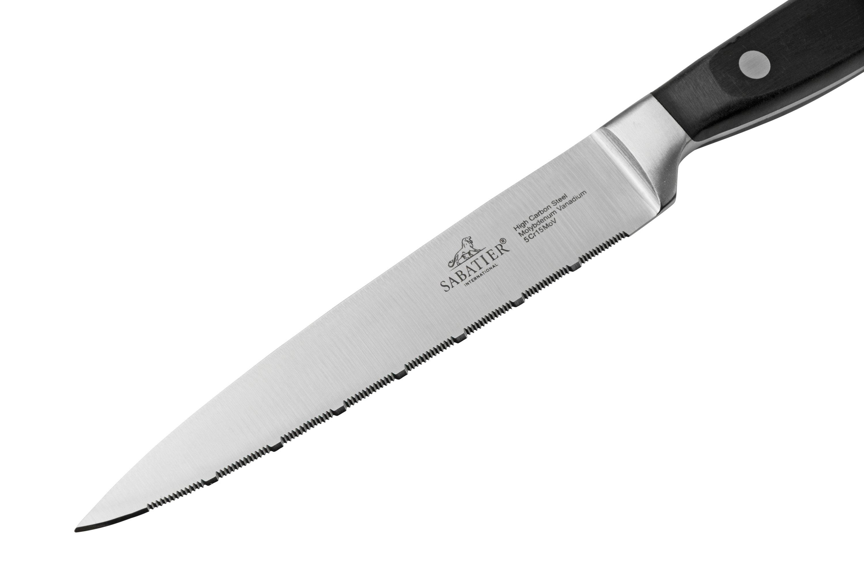 Lion Sabatier International Pluton 900780, 5-piece knife set ...