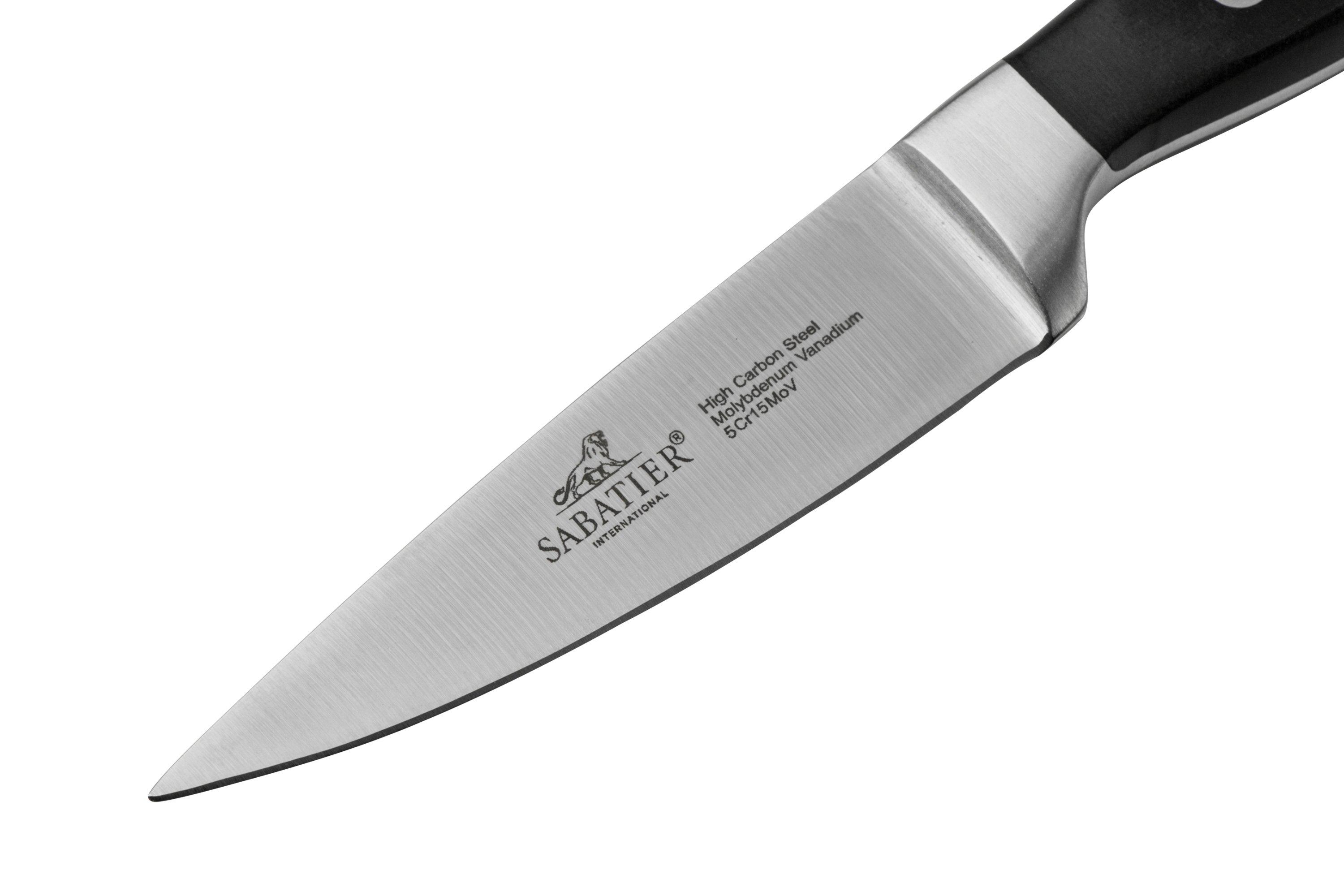 Lion Sabatier International Pluton 900780, 5-delige messenset ...