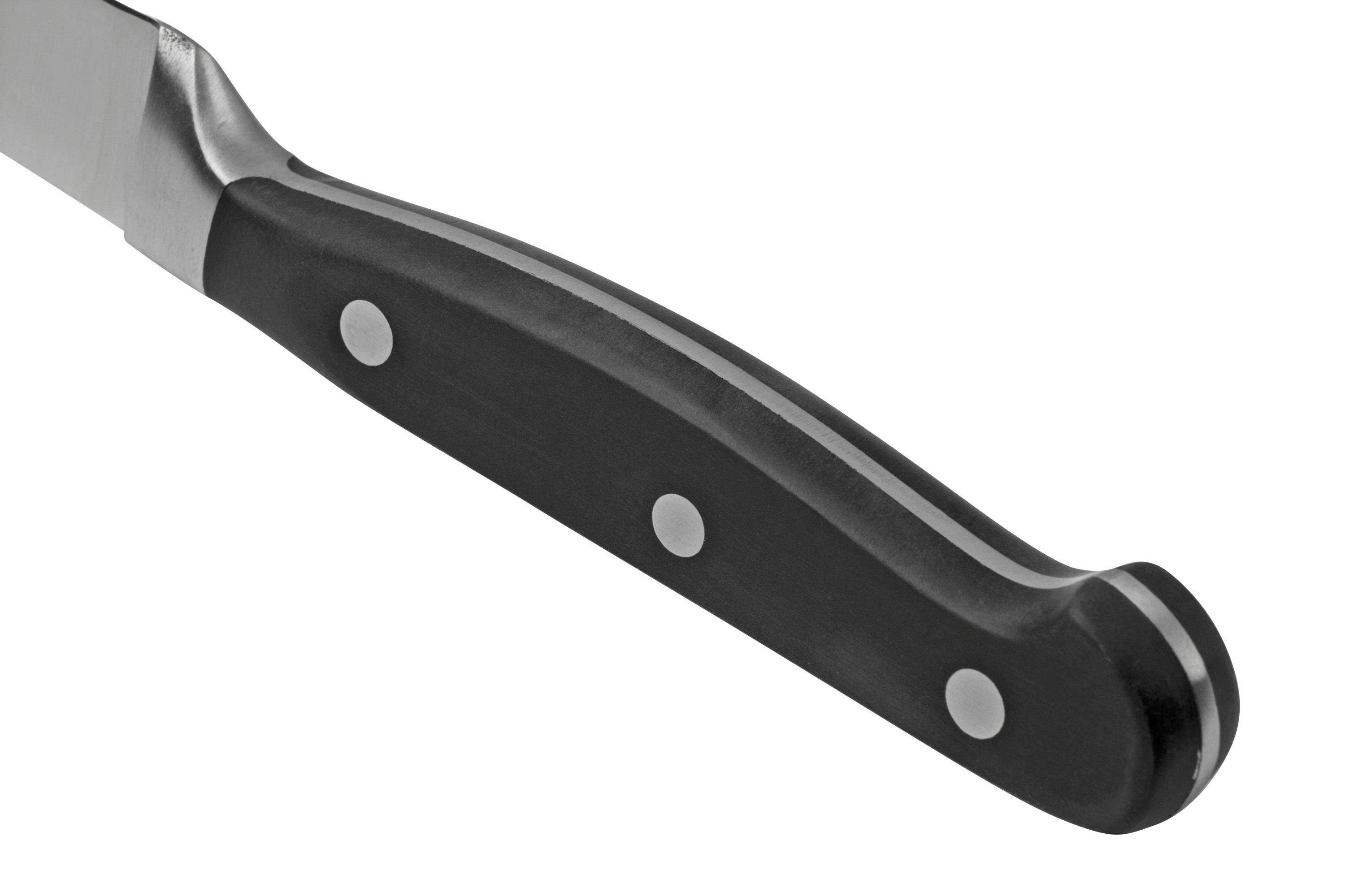 Lion Sabatier International Pluton 900780, 5-piece knife set ...