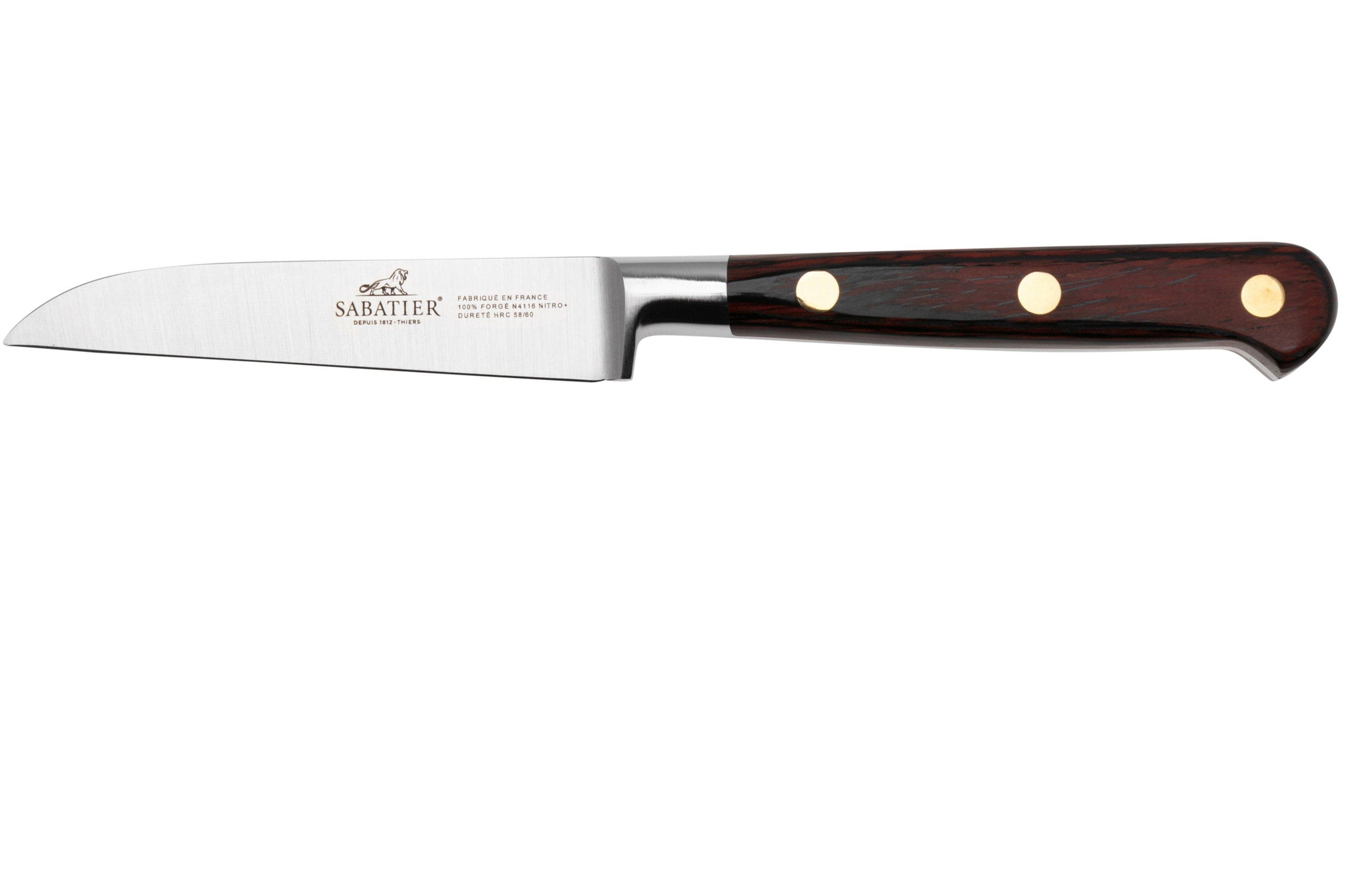 Lion Sabatier Idéal Saveur 830984 paring knife, 9 cm | Advantageously ...