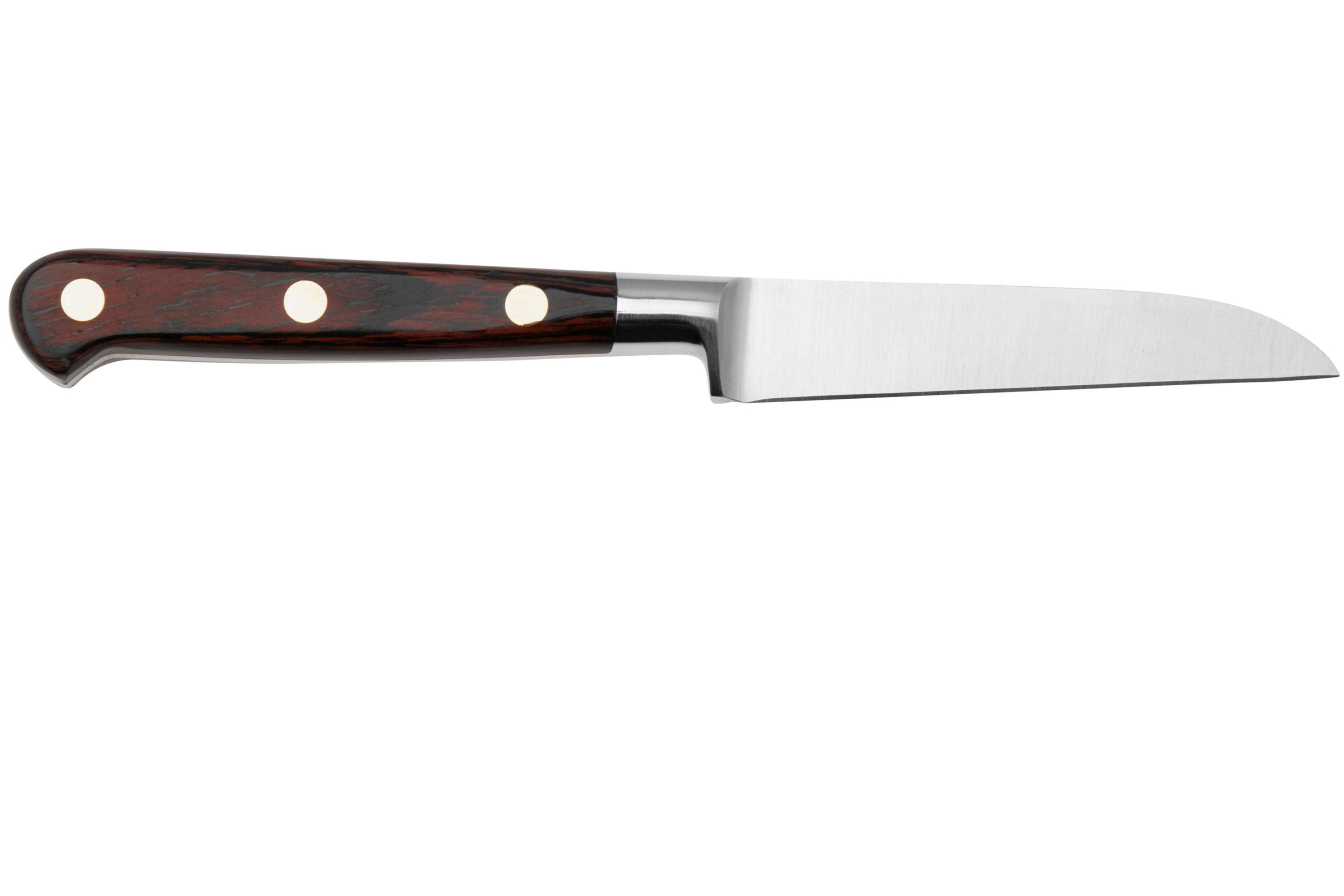 Lion Sabatier Idéal Saveur 830984 paring knife, 9 cm | Advantageously ...
