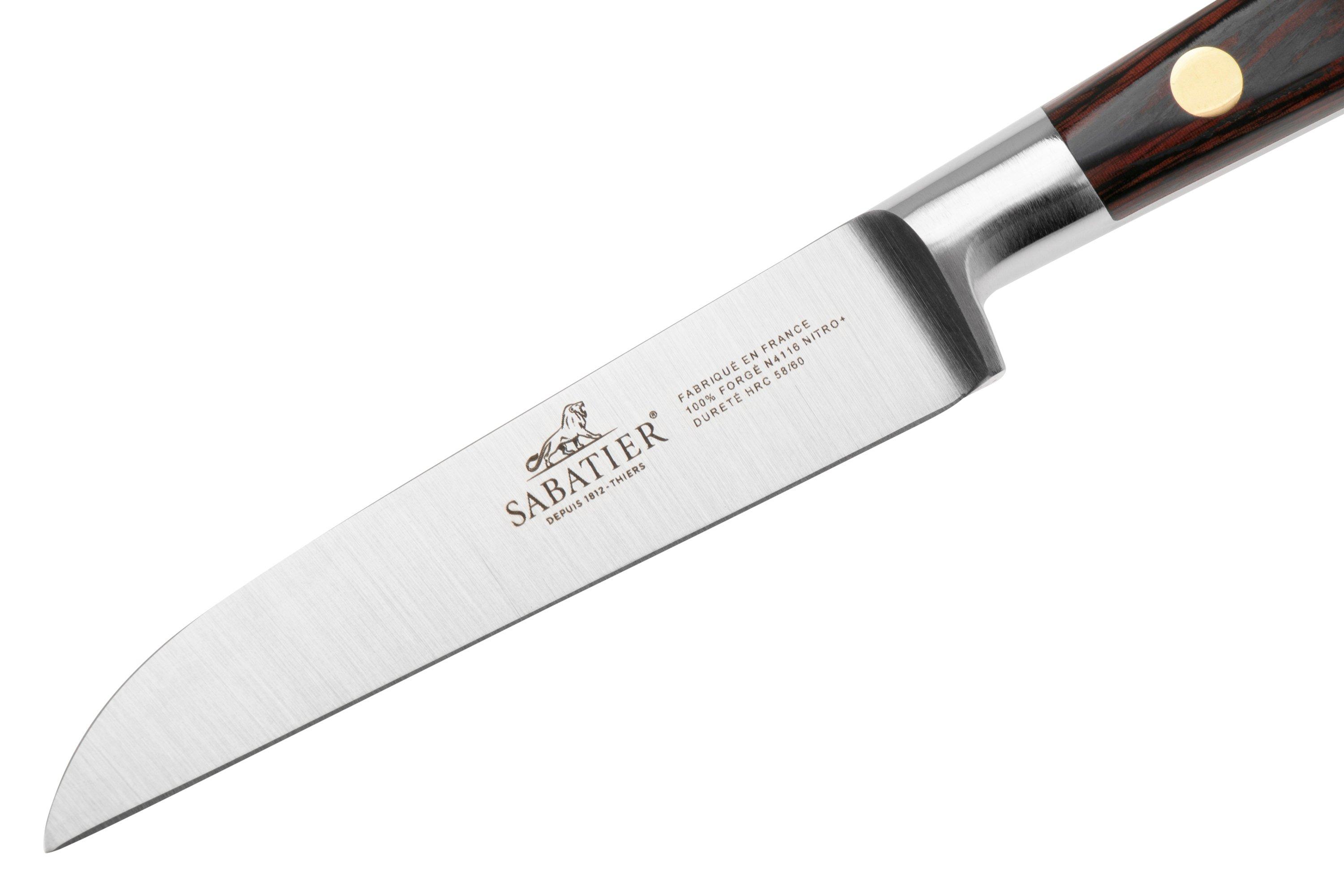 Lion Sabatier Idéal Saveur 830984 couteau d'office, 9 cm | Achetez à ...