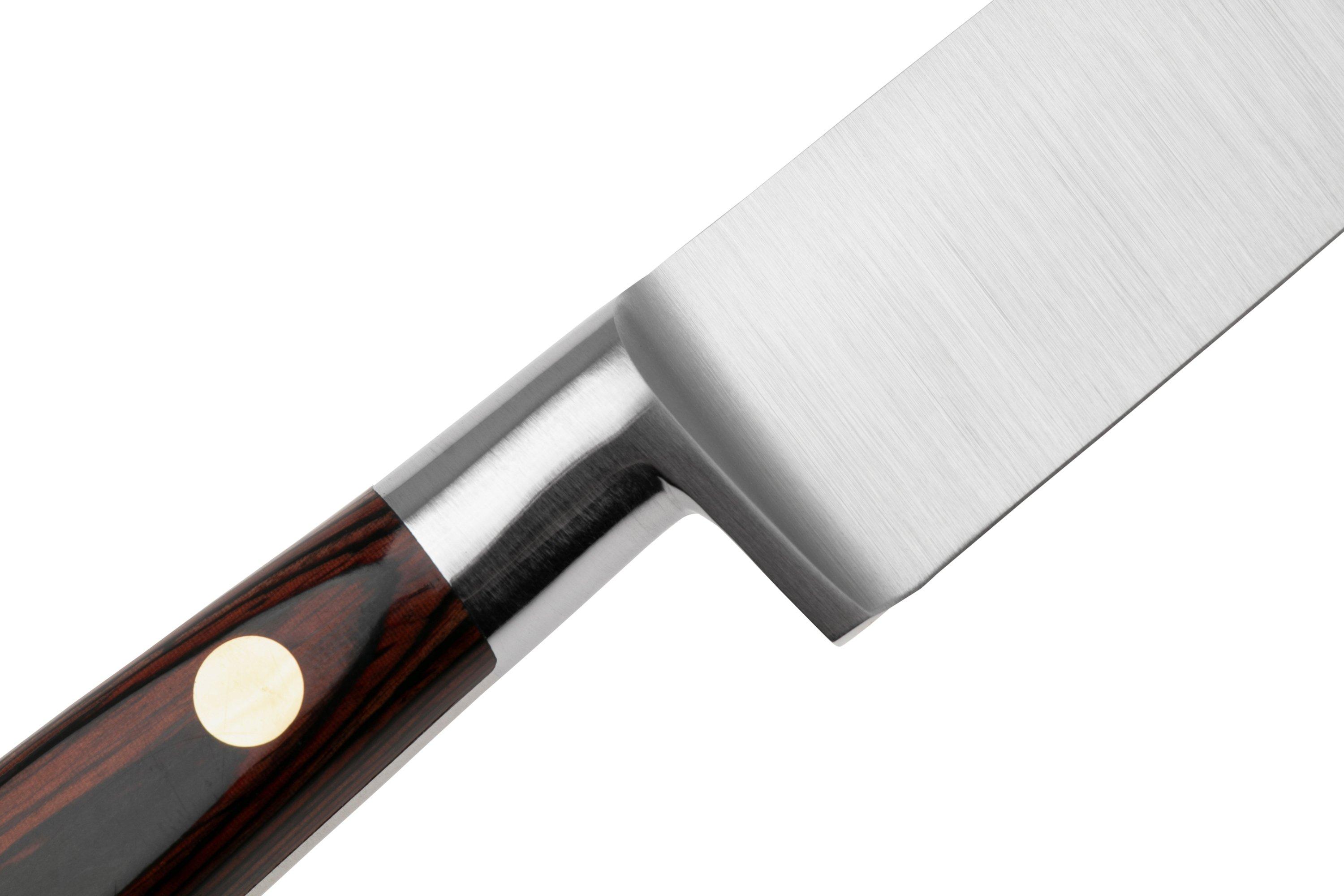 Lion Sabatier Idéal Saveur 831484 flexible carving knife, 15 cm ...