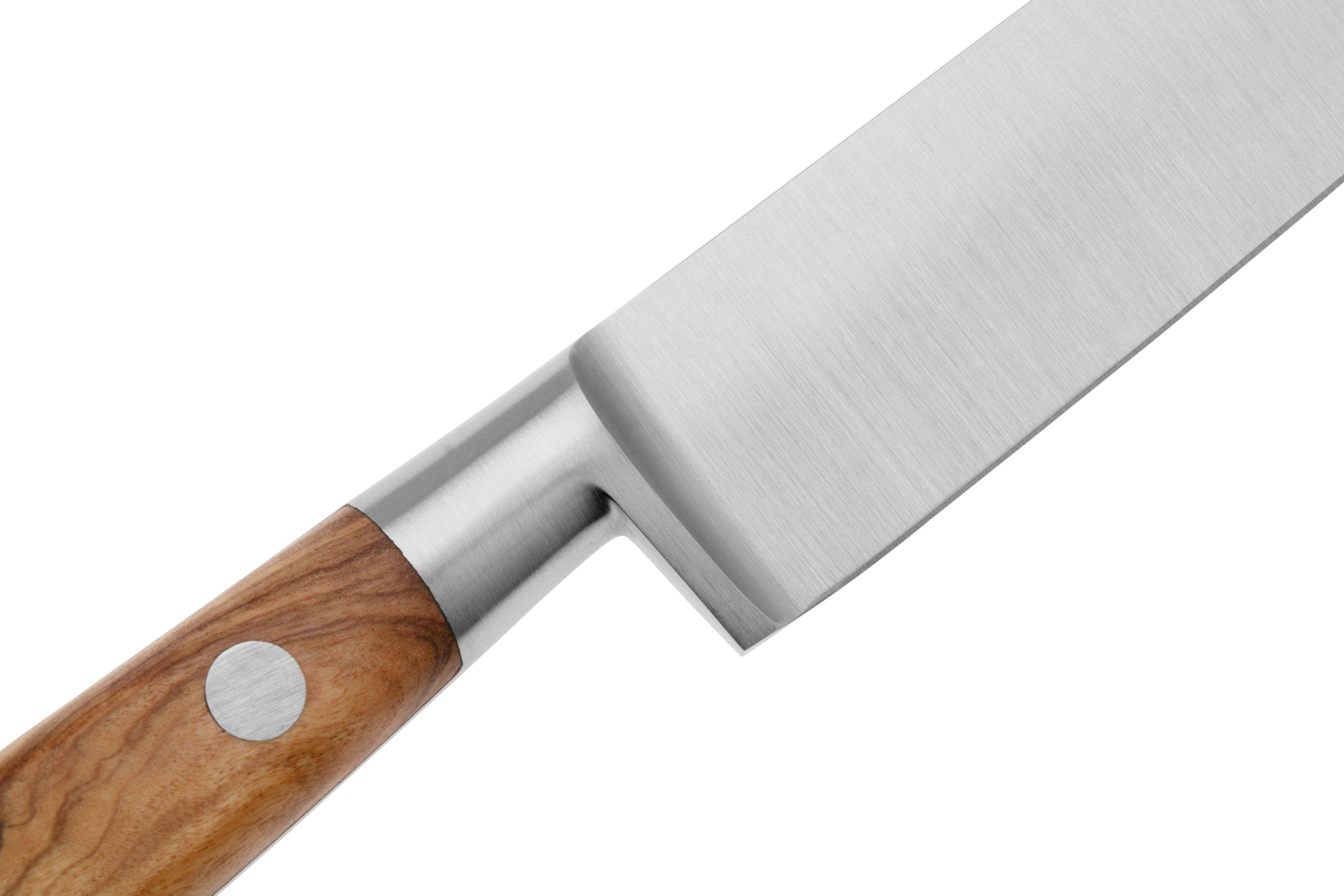 Lion Sabatier Idéal Provençao 831485 flexible carving knife, 15 cm ...