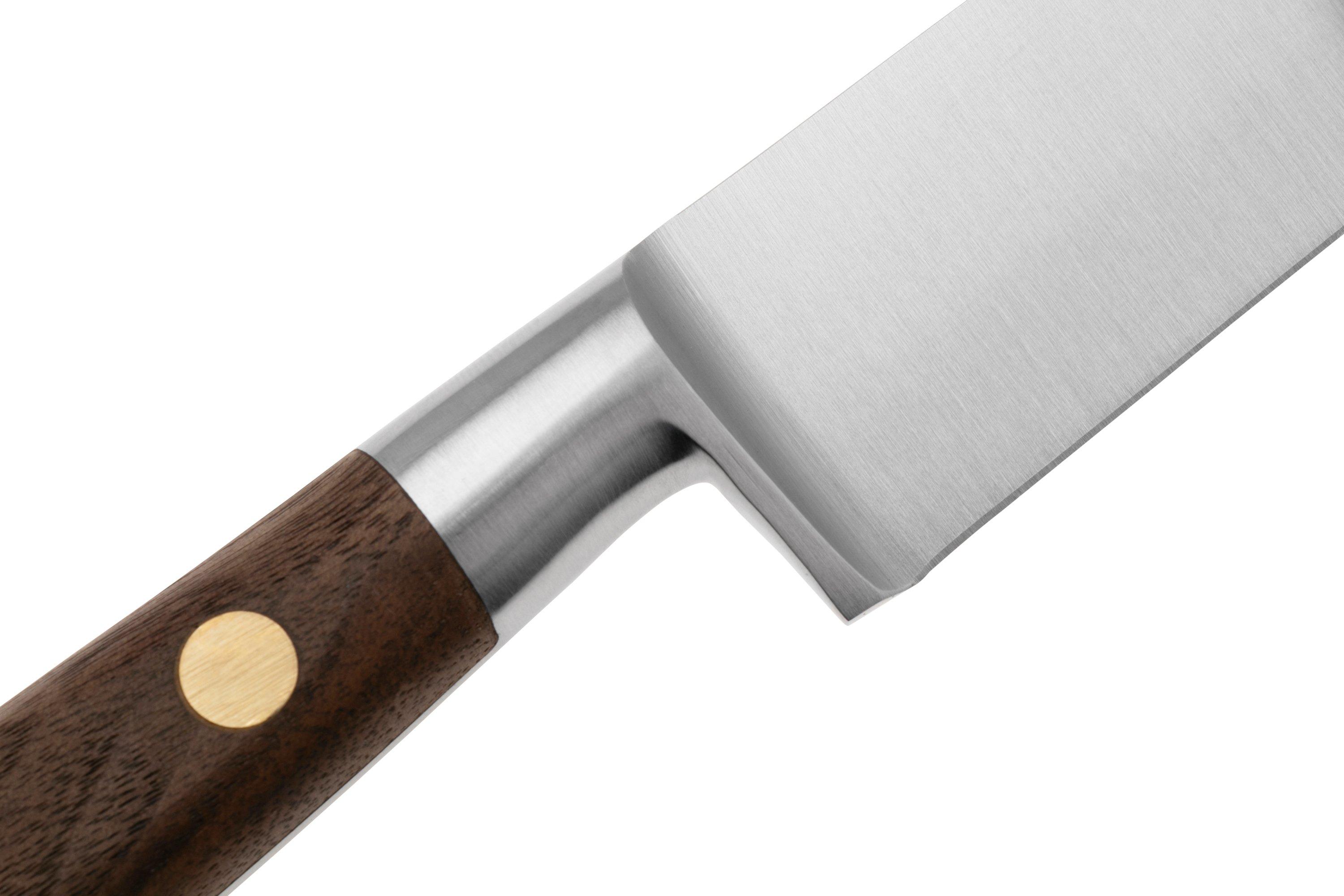 Lion Sabatier Idéal Périgord 831486 flexible carving knife, 15 cm ...