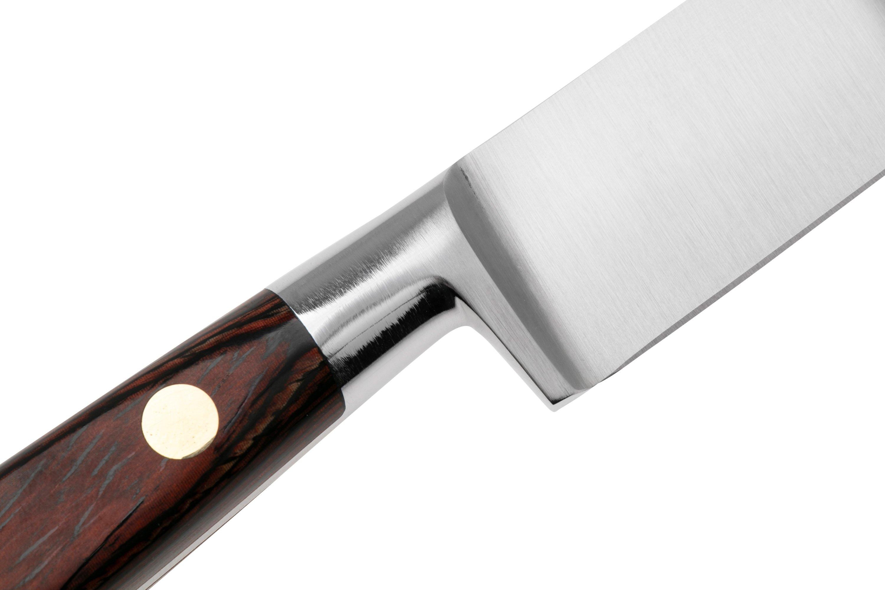 Lion Sabatier Idéal Saveur 832484 carving knife, 20 cm | Advantageously ...