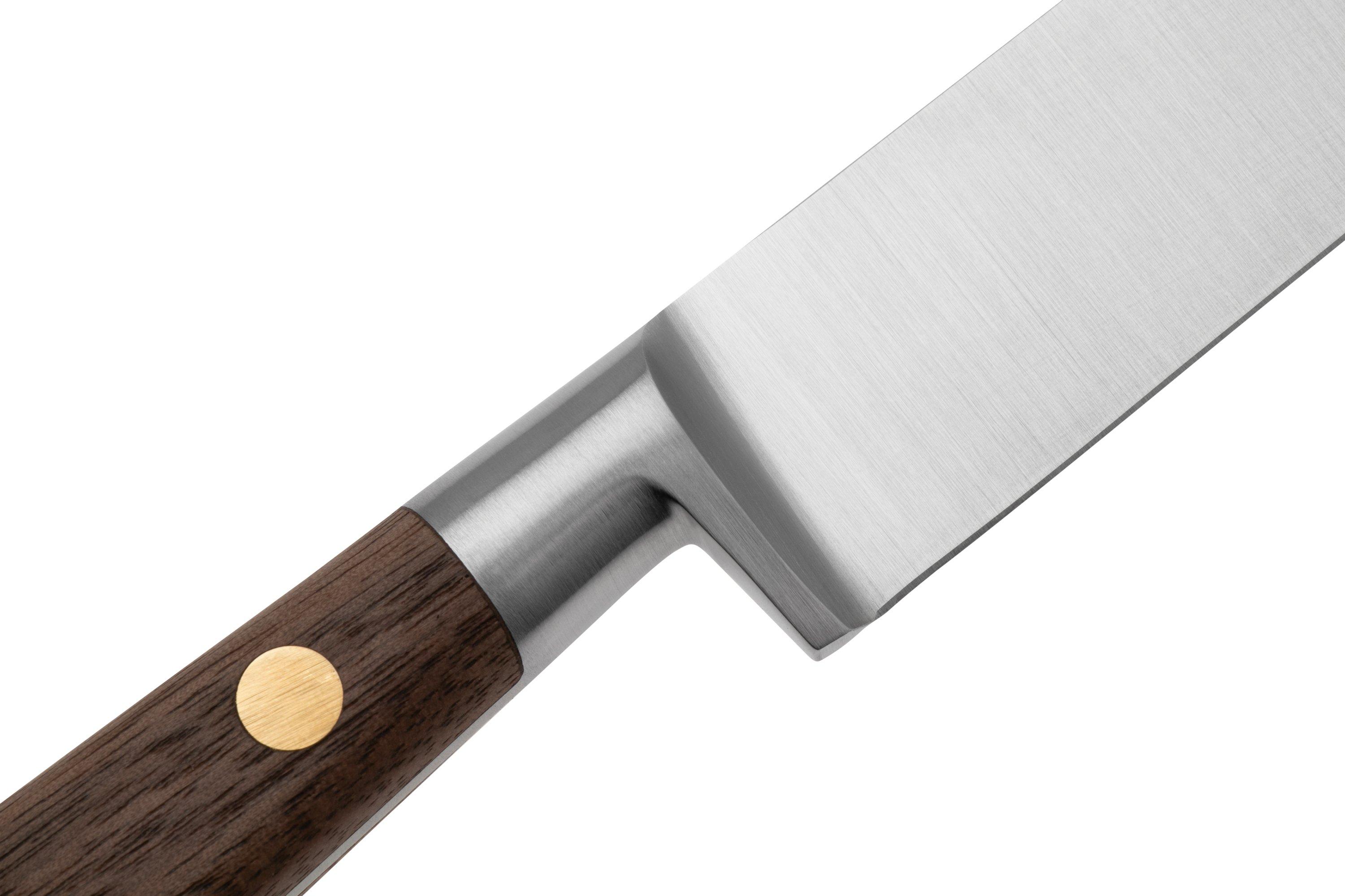Lion Sabatier Idéal Périgord 832486 carving knife, 20 cm ...