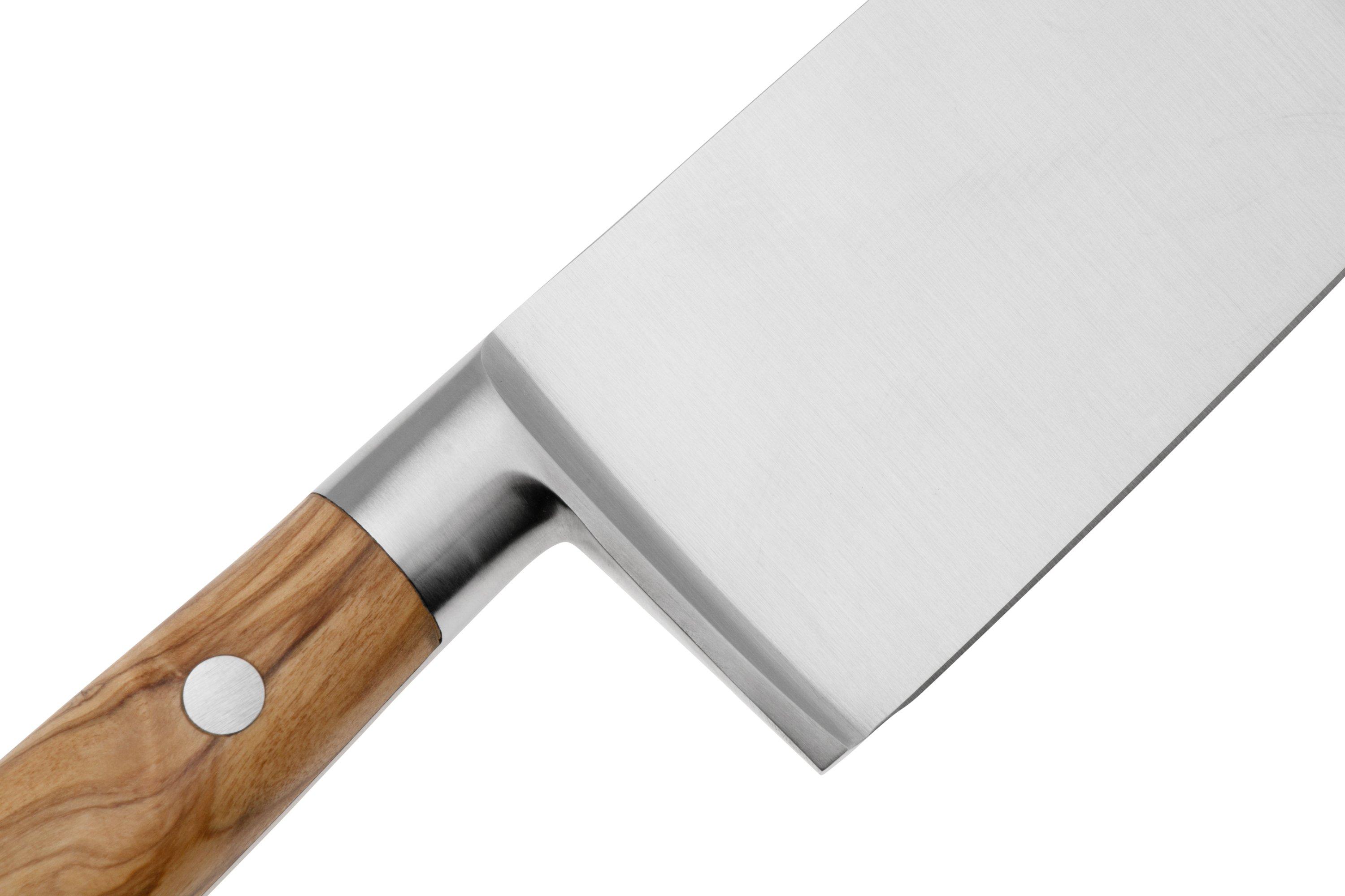 Lion Sabatier Idéal Provençao 832585 chef's knife, 25 cm ...