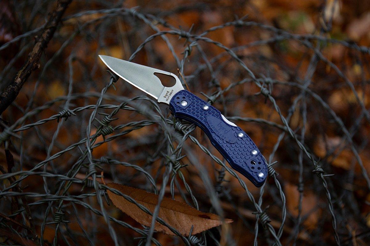 Spyderco Byrd Meadowlark 2 blue BY04PBL2 pocket knife | Advantageously ...