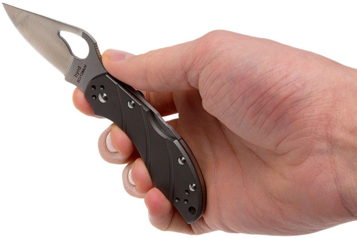 Spyderco Byrd Robin 2 Titanium BY10TIP2 coltello da tasca | Fare ...