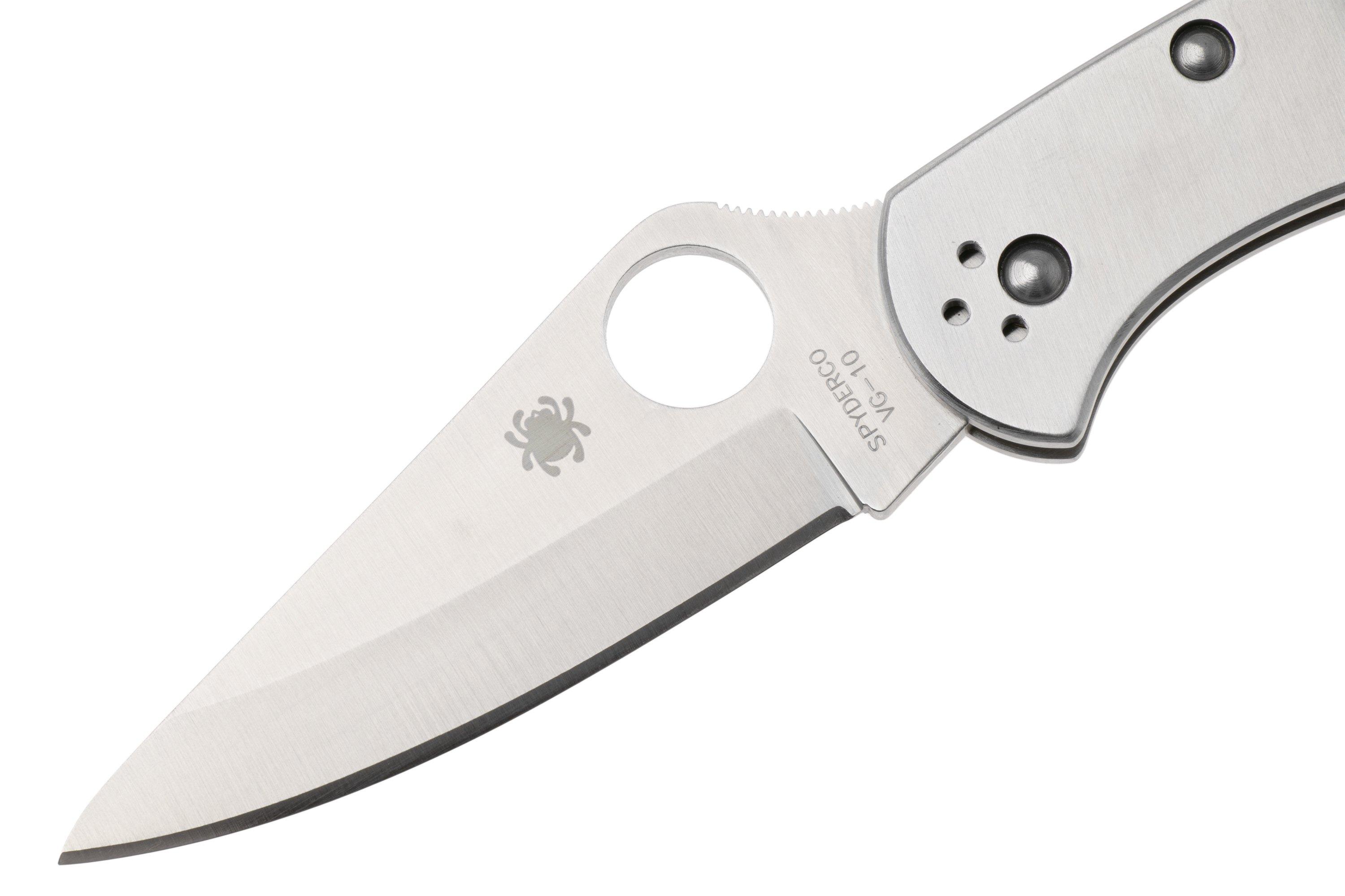 Spyderco Delica 4 Stainless Steel C11P pocket knife | Advantageously ...