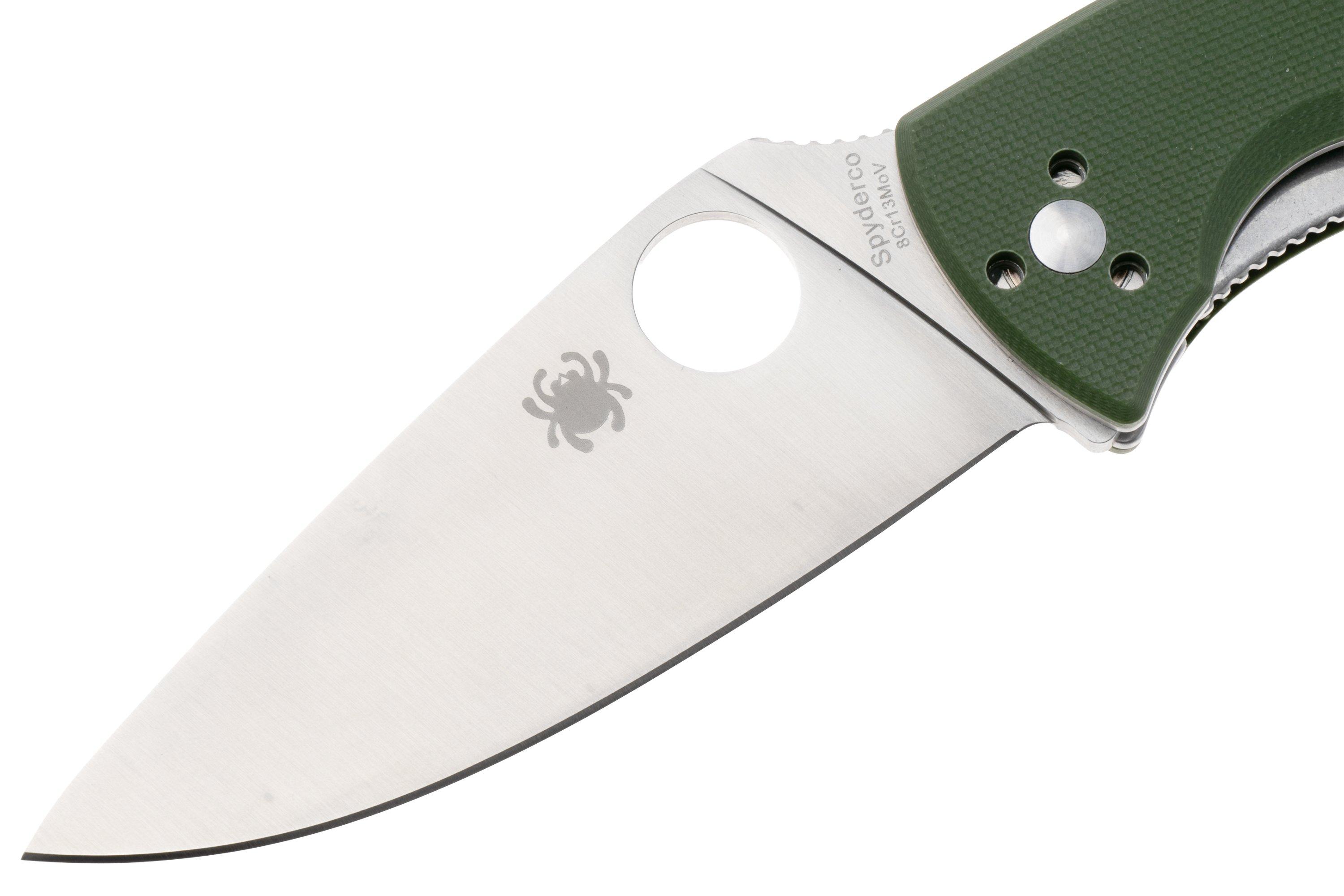 Spyderco Tenacious Green C122GPGR pocket knife | Advantageously ...