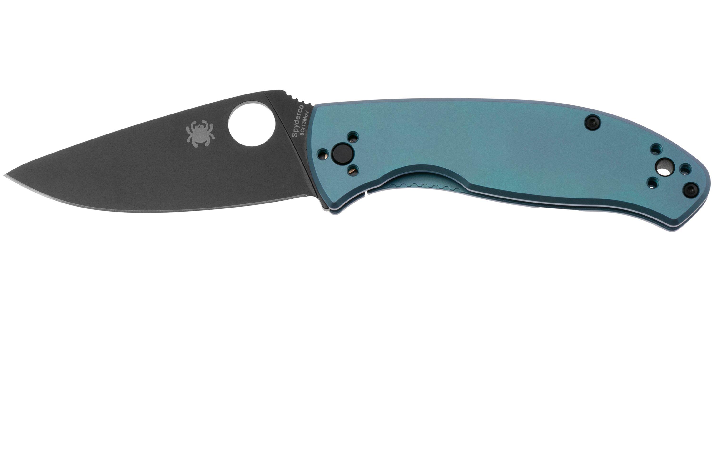 Spyderco Tenacious Black C122TIBLBKP Blue Titanium pocket knife ...