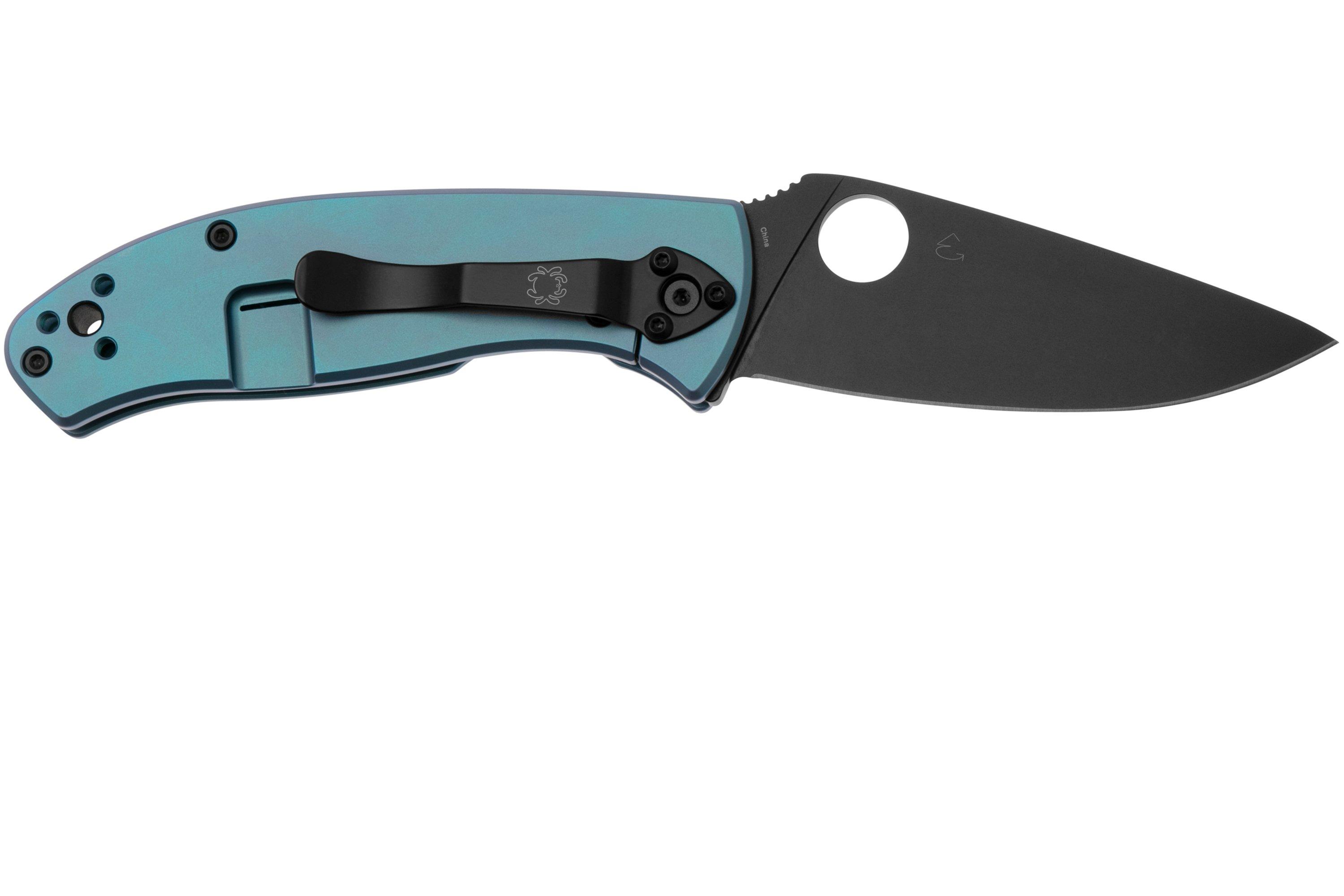 Spyderco Tenacious Black C122TIBLBKP Blue Titanium pocket knife ...