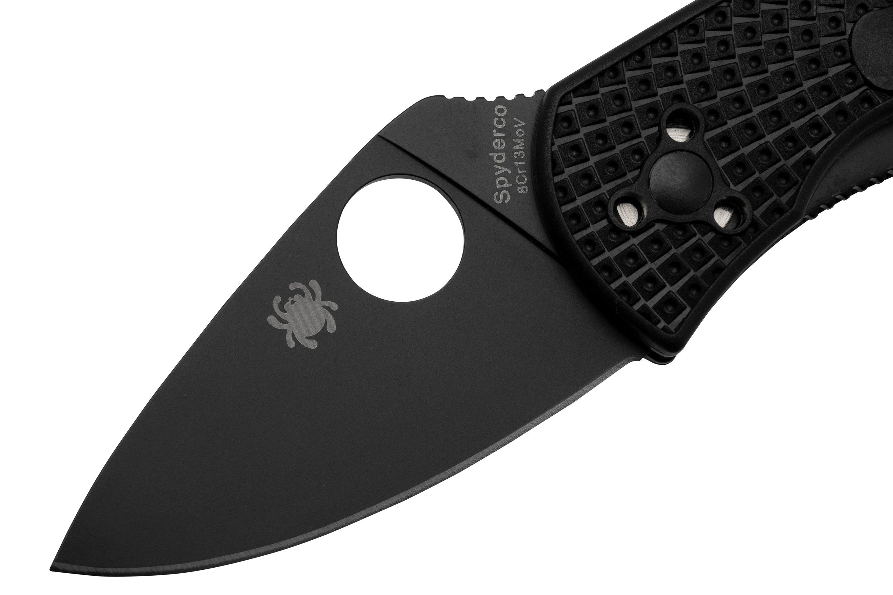 Spyderco Ambitious Lightweight Black C148PBBK pocket knife ...