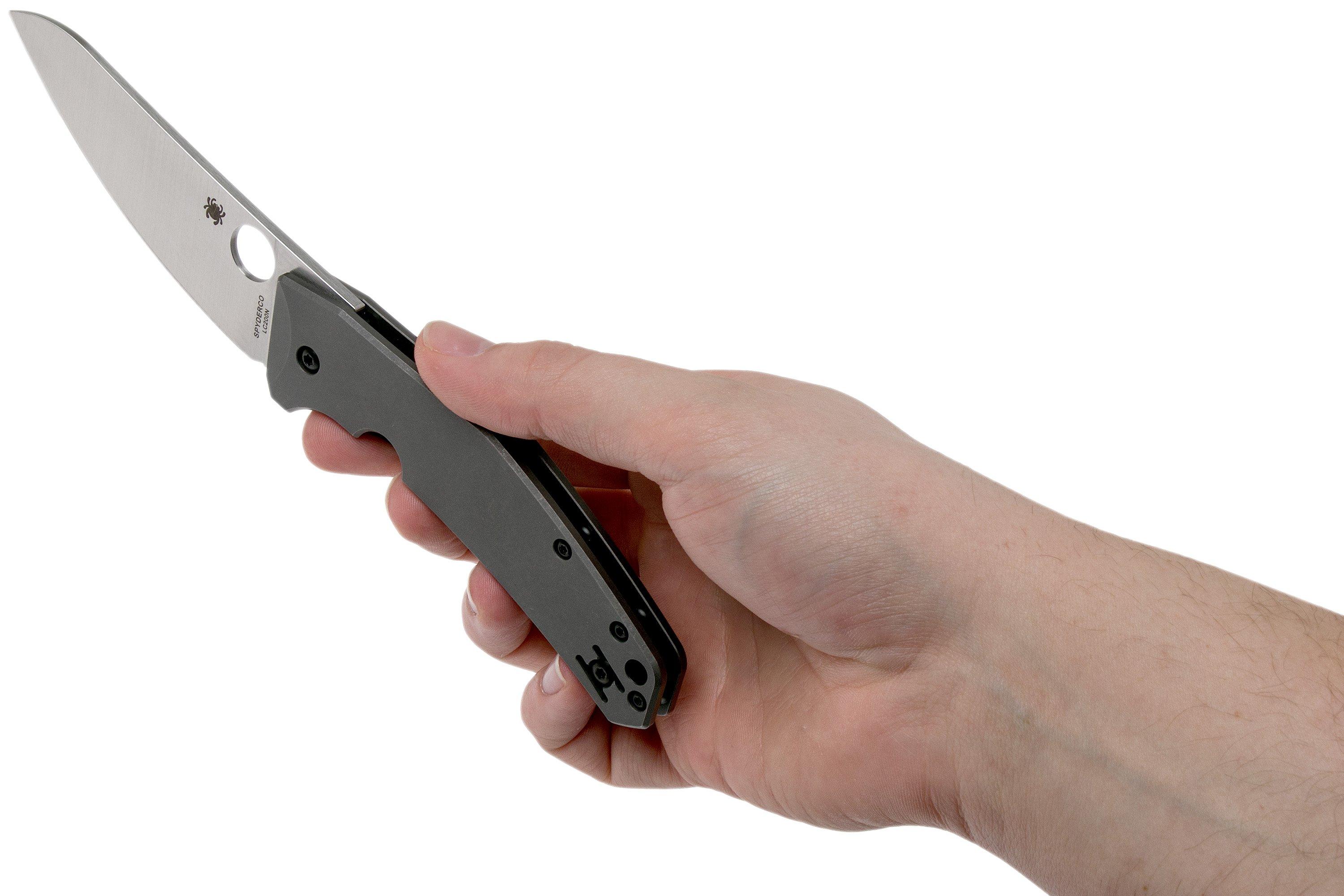 Spyderco Slysz Spydie Chef, C211TIP | Compras con ventajas en ...