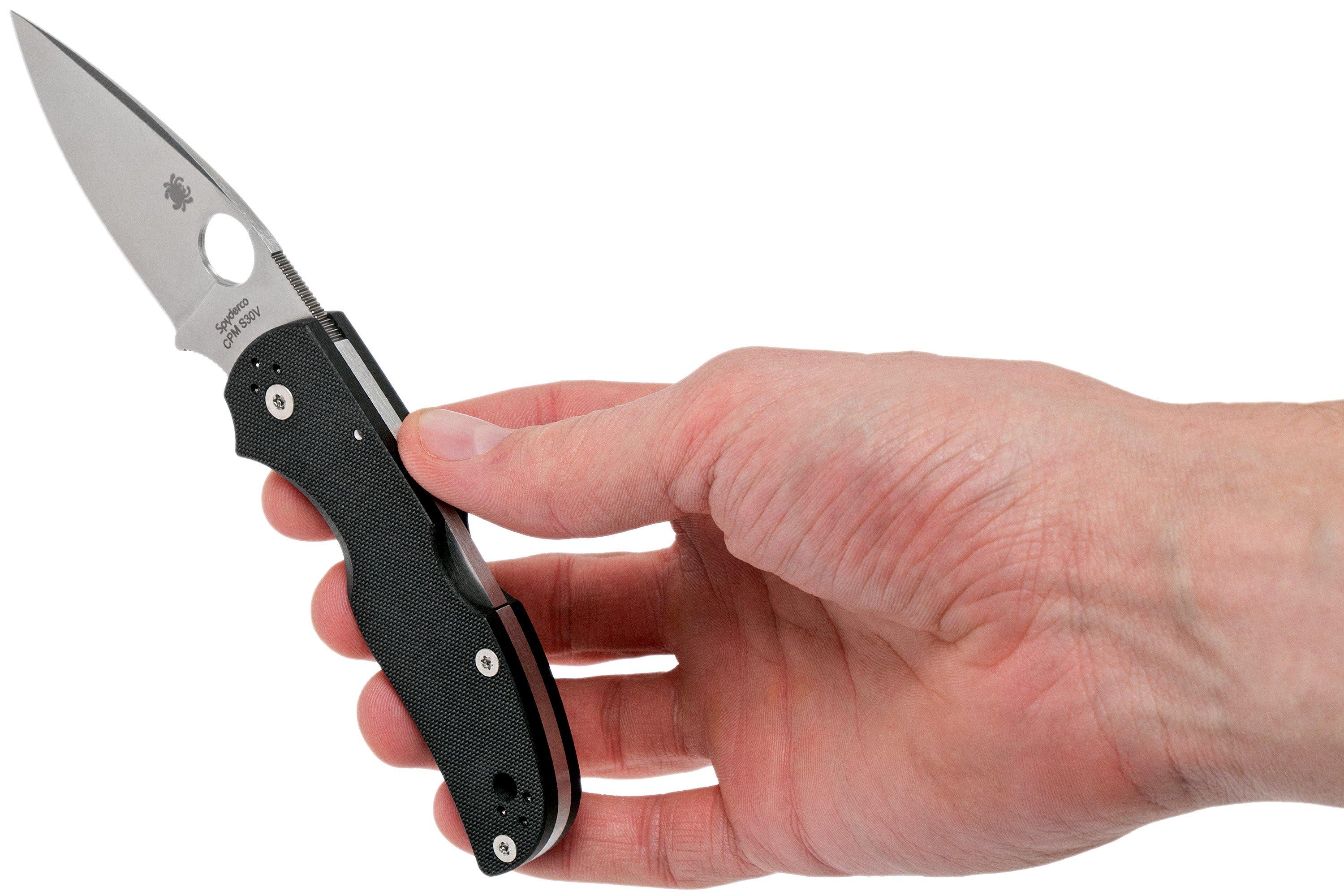 Spyderco Native 5 C41GP5 pocket knife | Advantageously shopping at ...