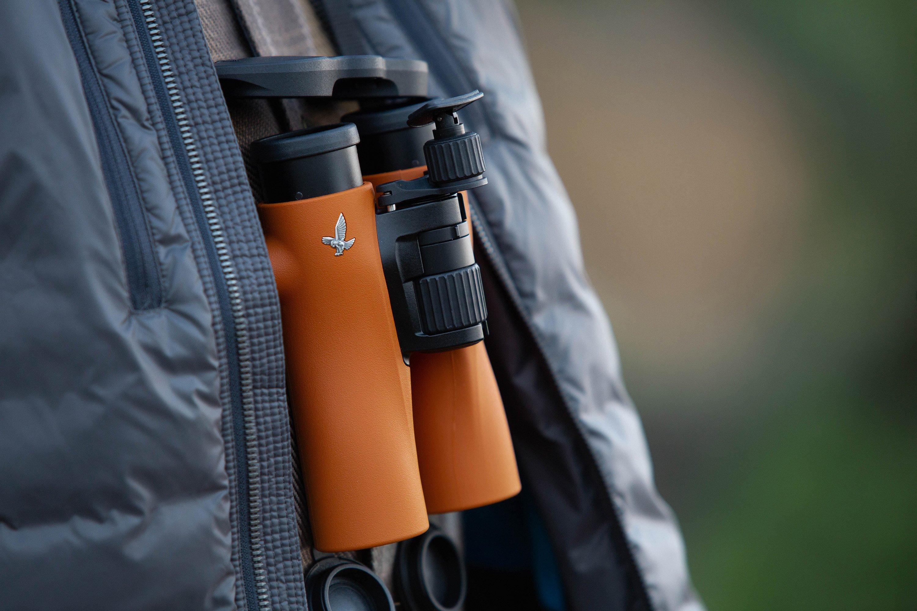 Swarovski binoculars NL Pure 8X32 orange | Advantageously shopping at ...