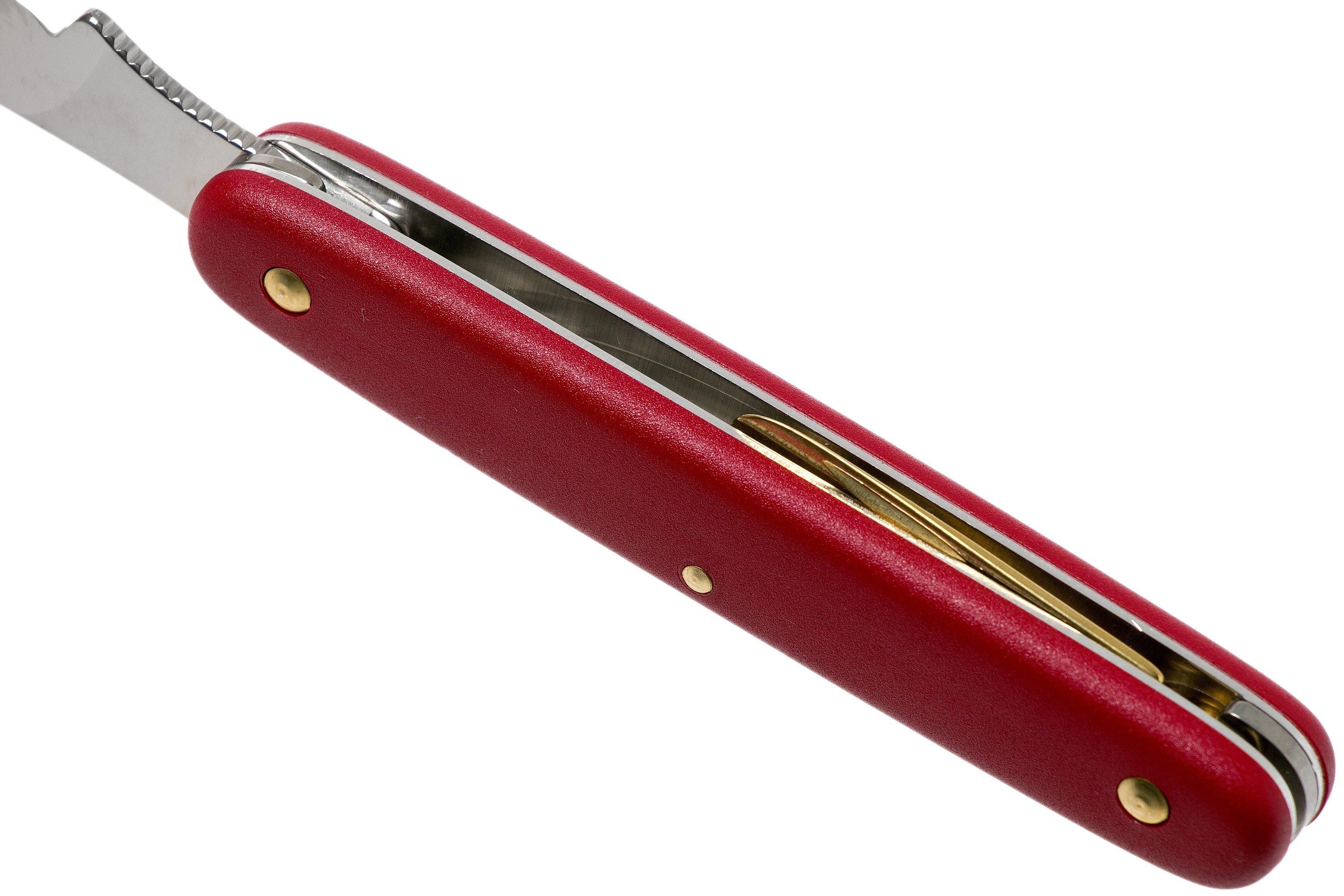 Victorinox Budding knife Combi 2 3.9140.B1 red | Advantageously ...