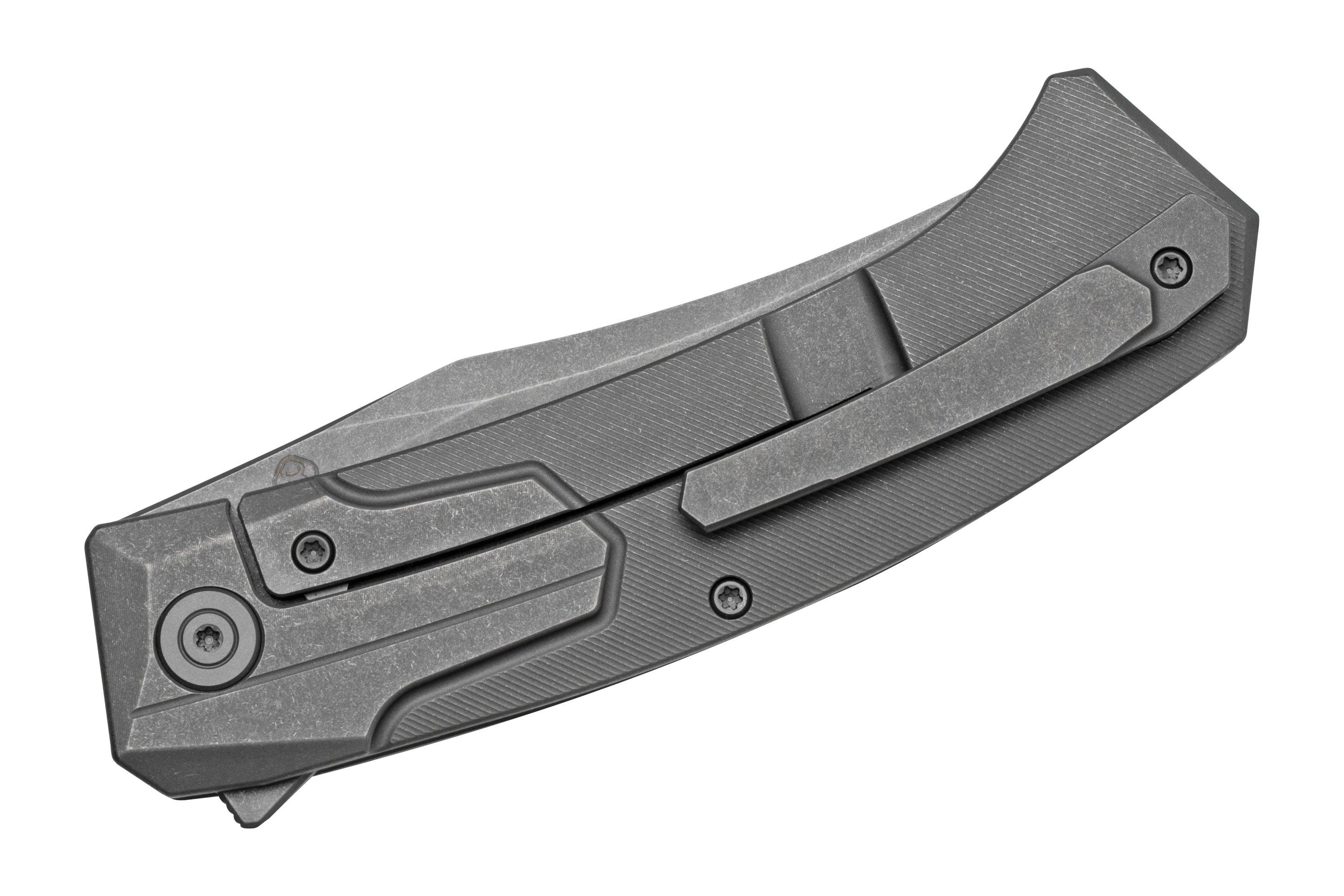 WE Knife Shuddan WE21015-4, Gray Titanium pocket knife | Advantageously ...