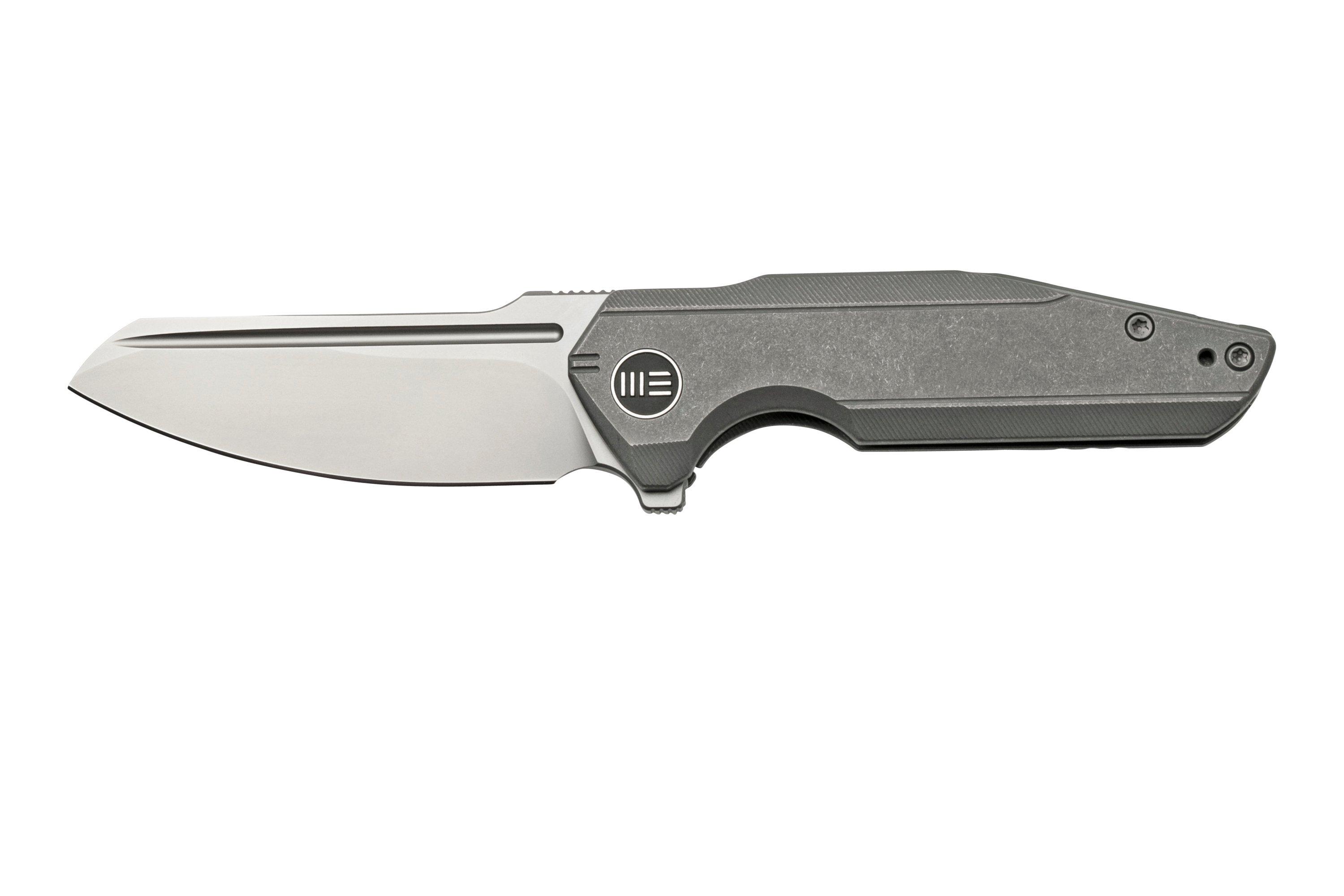 WE Knife Starhawk 21017-1 Gray Titanium, pocket knife | Advantageously ...