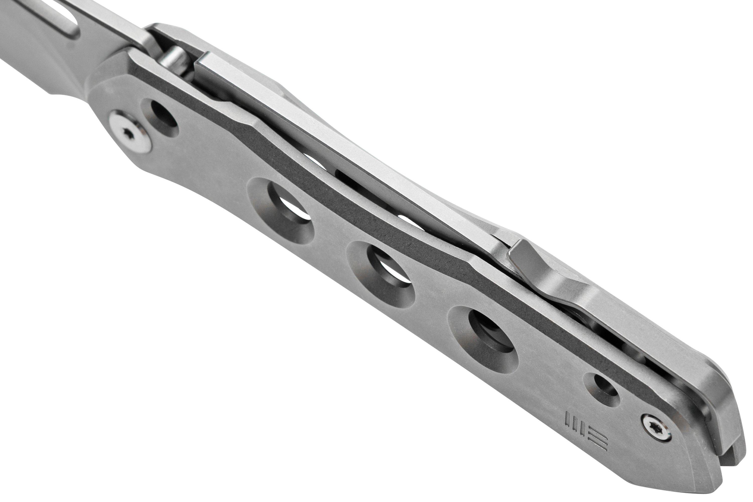 WE Knife Vision R 21031-1 Gray Silver Titanium, Silver Bead Blasted ...