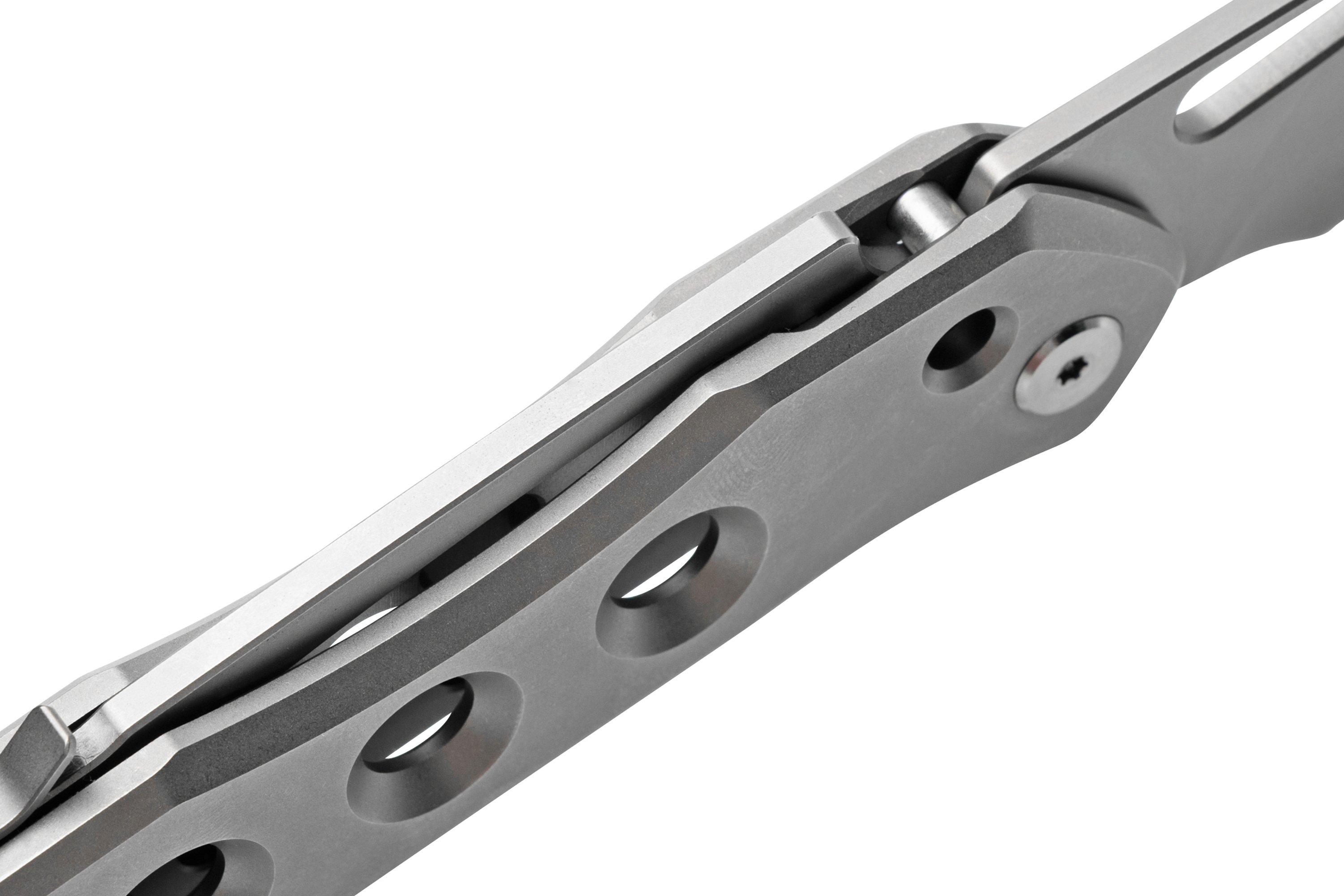 WE Knife Vision R 21031-1 Gray Silver Titanium, Silver Bead Blasted ...