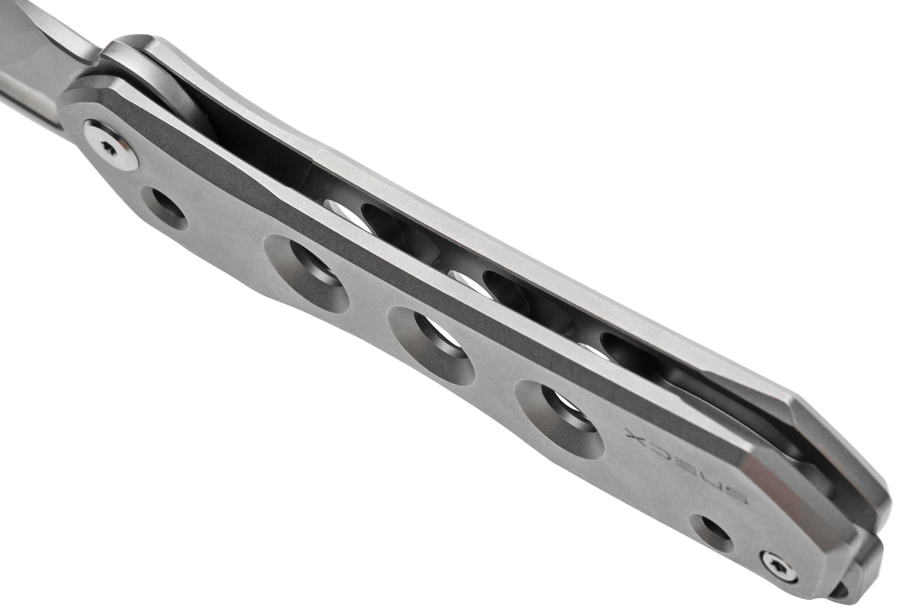 WE Knife Vision R 21031-1 Gray Silver Titanium, Silver Bead Blasted ...