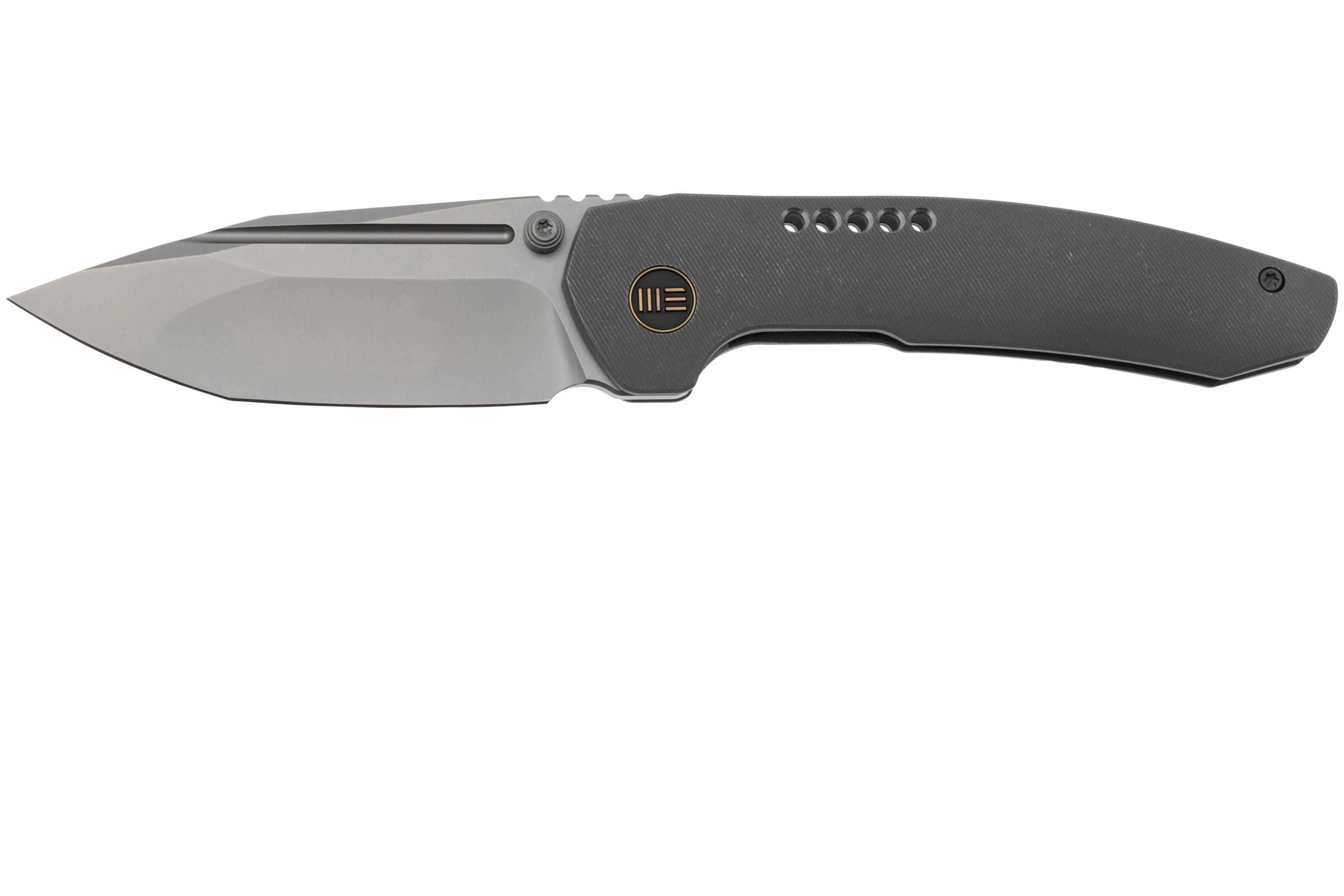 WE Knife Trogon WE22002-1, CPM 20CV Bead Blasted Grey Titanium, pocket ...