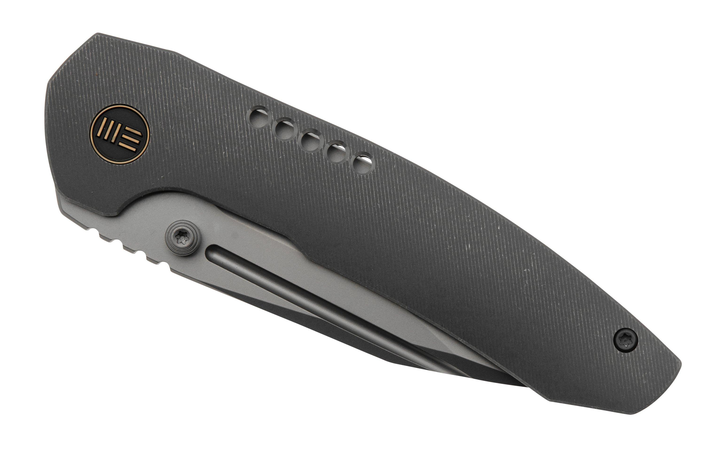 WE Knife Trogon WE22002-1, CPM 20CV Bead Blasted Grey Titanium, pocket ...