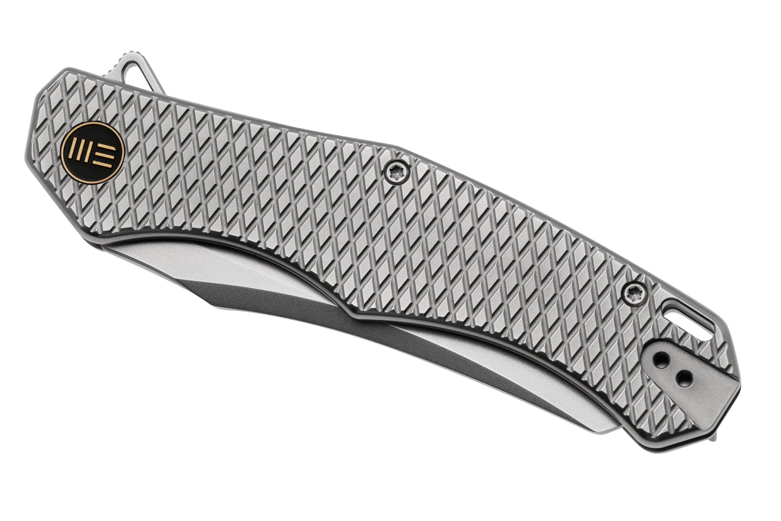 WE Knife RekkeR WE22010G-2 Bead Blasted CPM 20CV, Grey Titanium Diamond ...