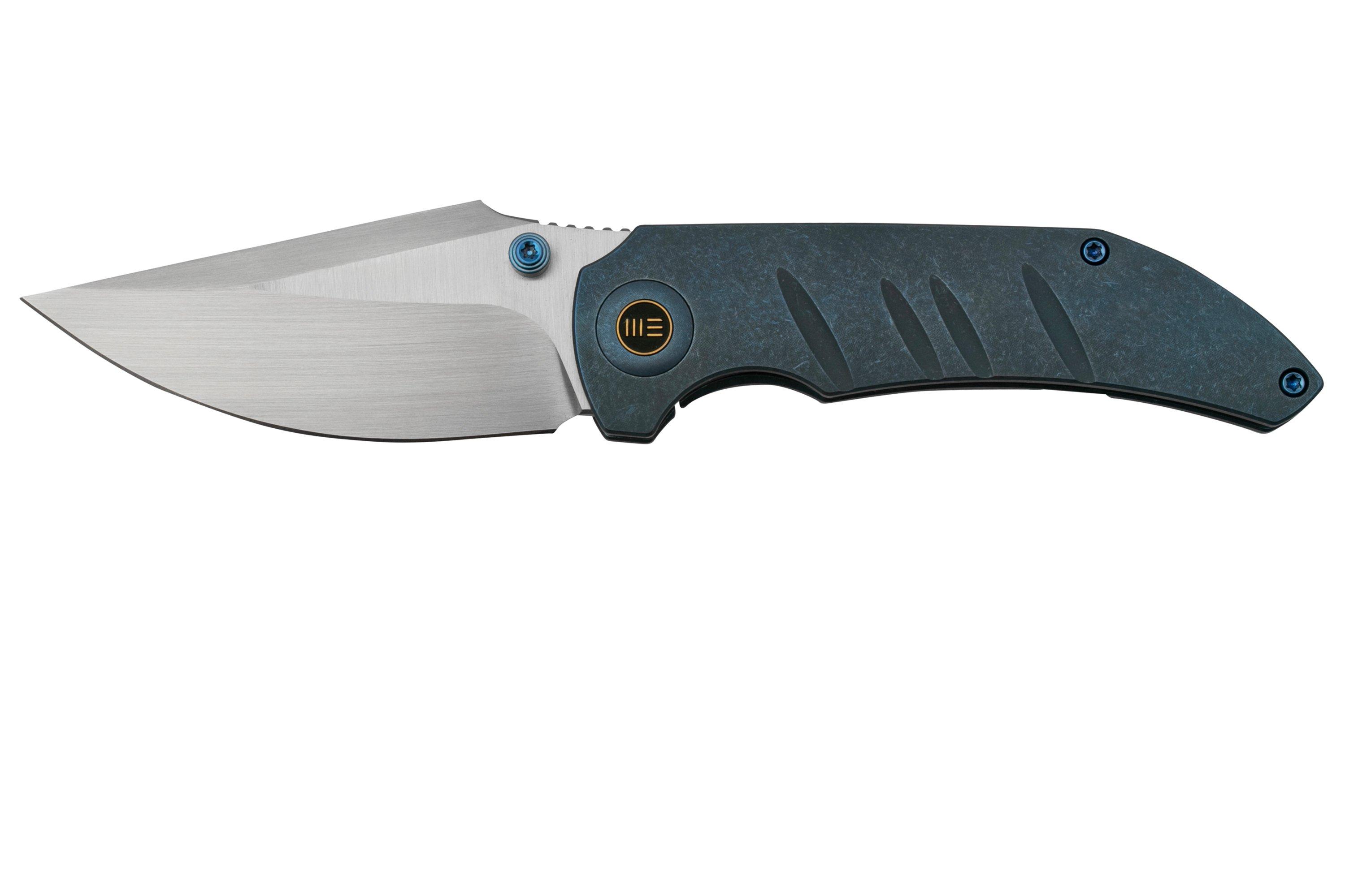 WE Knife Riff-Raff Blue Titanium, Satin CPM 20CV WE22020B-2 pocket ...
