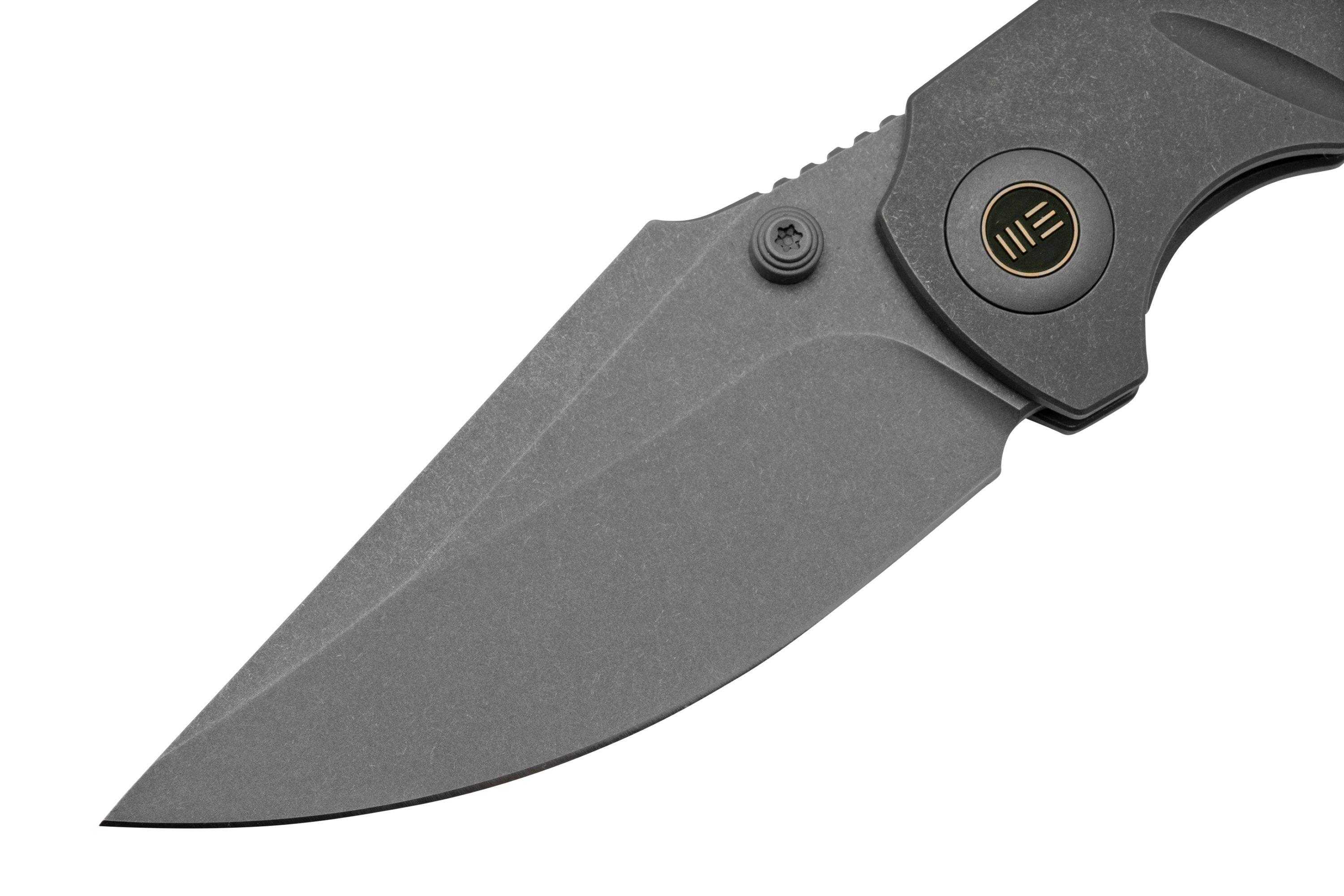 WE Knife Riff-Raff Grey Titanium, Stonewashed CPM 20CV WE22020B-3 ...