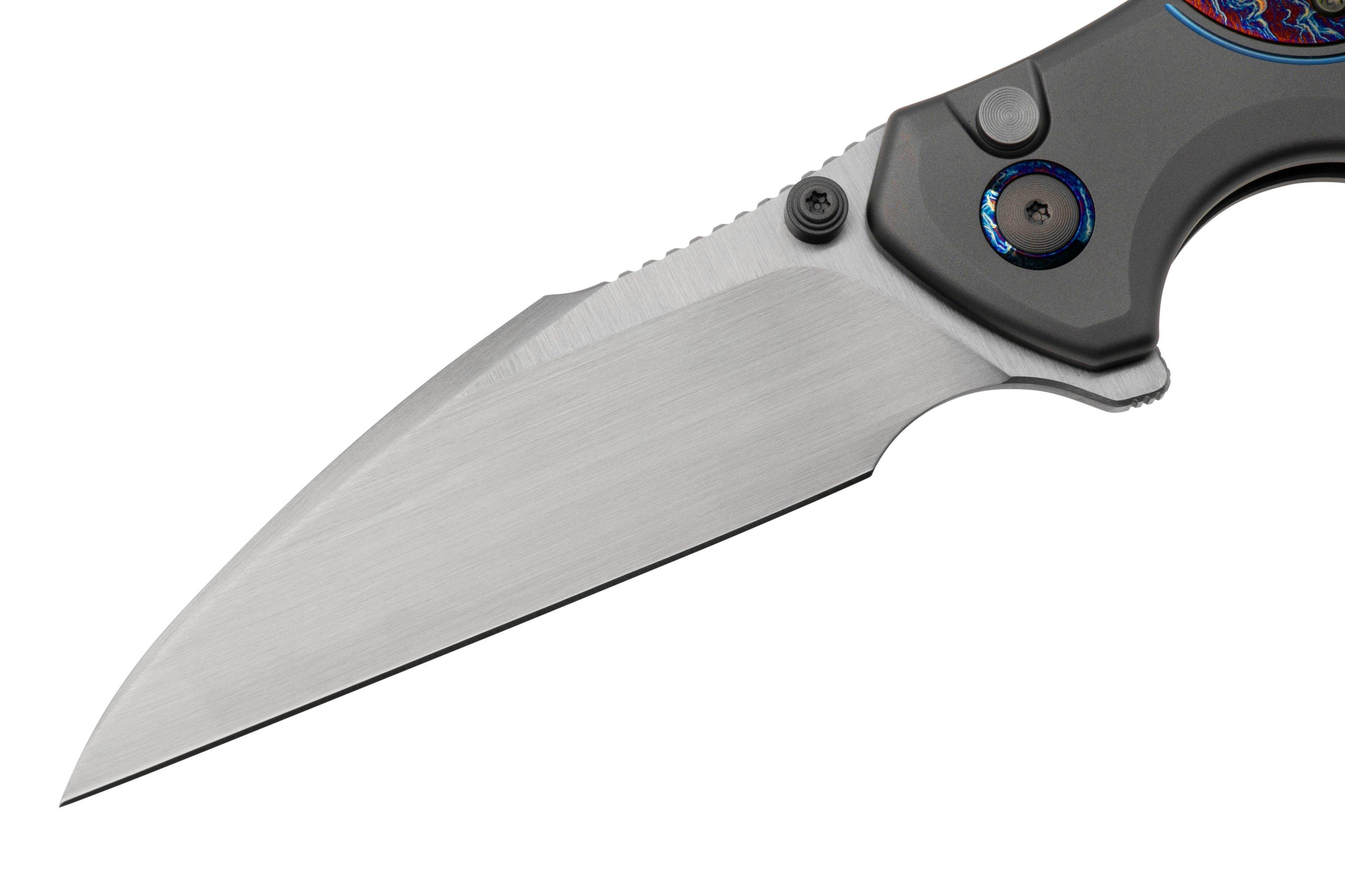 WE Knife Ziffius WE22024D-4 Hand Rubbed Satin CPM 20CV, Gray Titanium ...