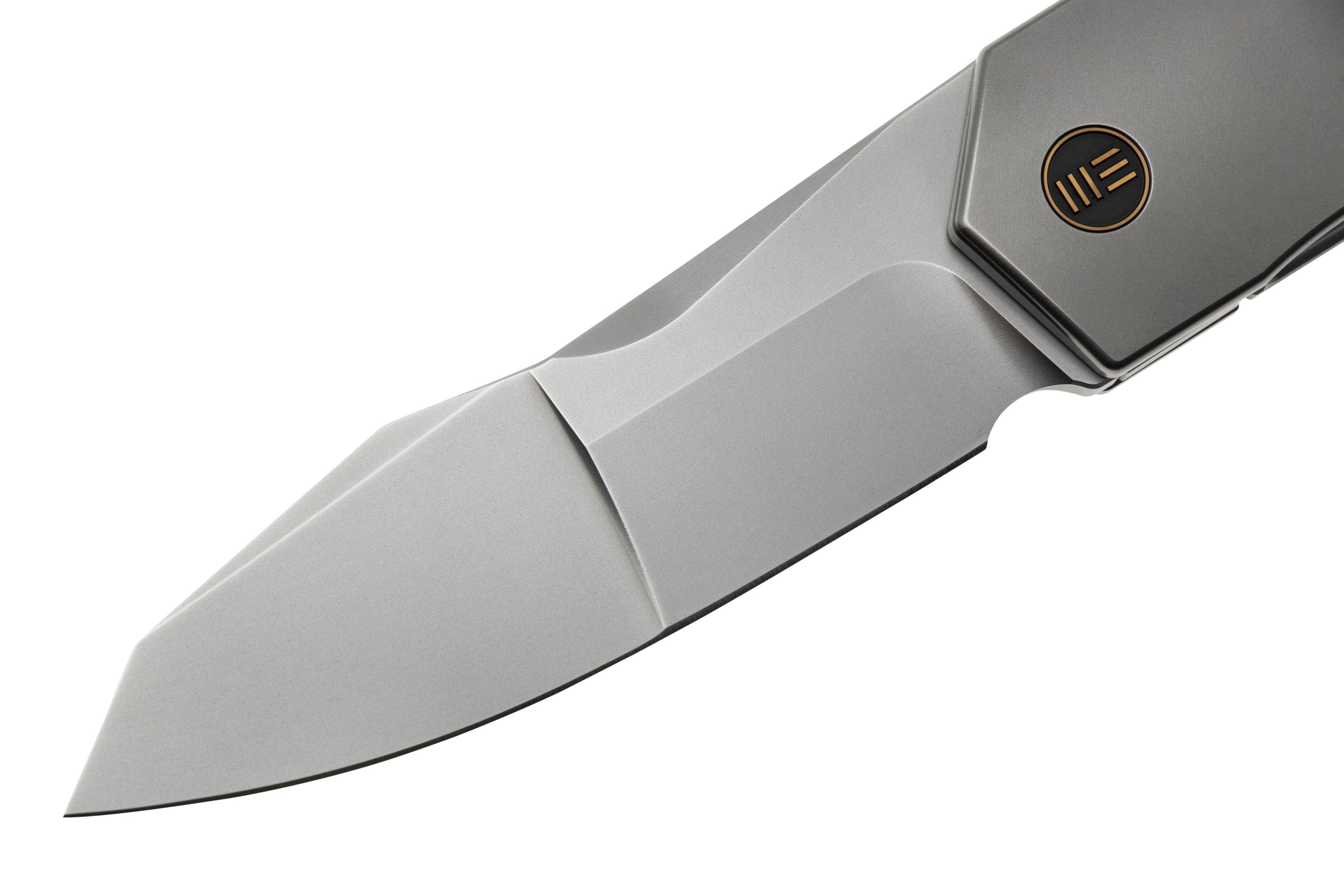 WE Knife Solid WE22028-2, CPM 20CV Bead Blasted Titanium, pocket knife ...