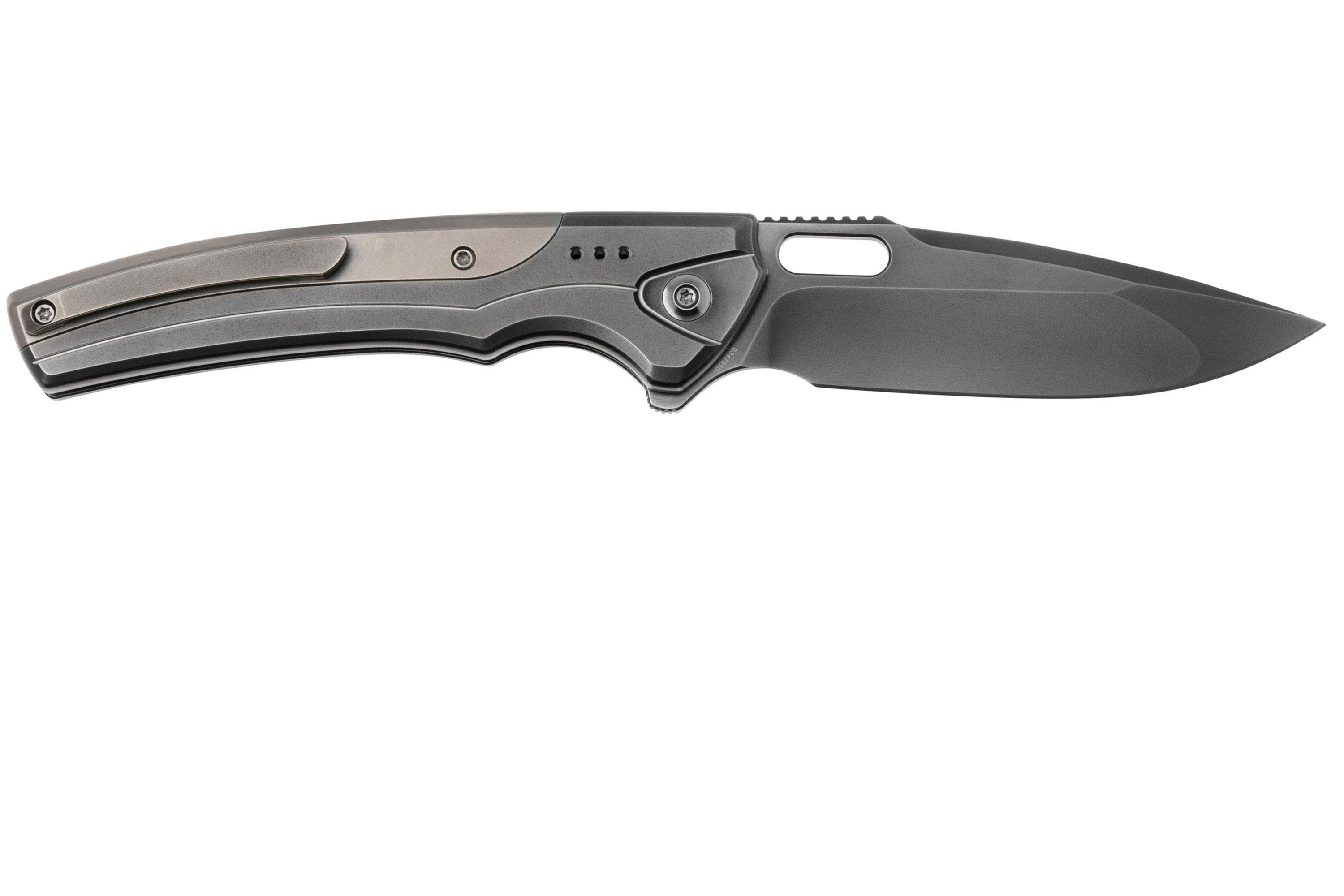 WE Knife Exciton WE22038A-7 Polished Gray CPM 20CV Blade, Polished Gray ...