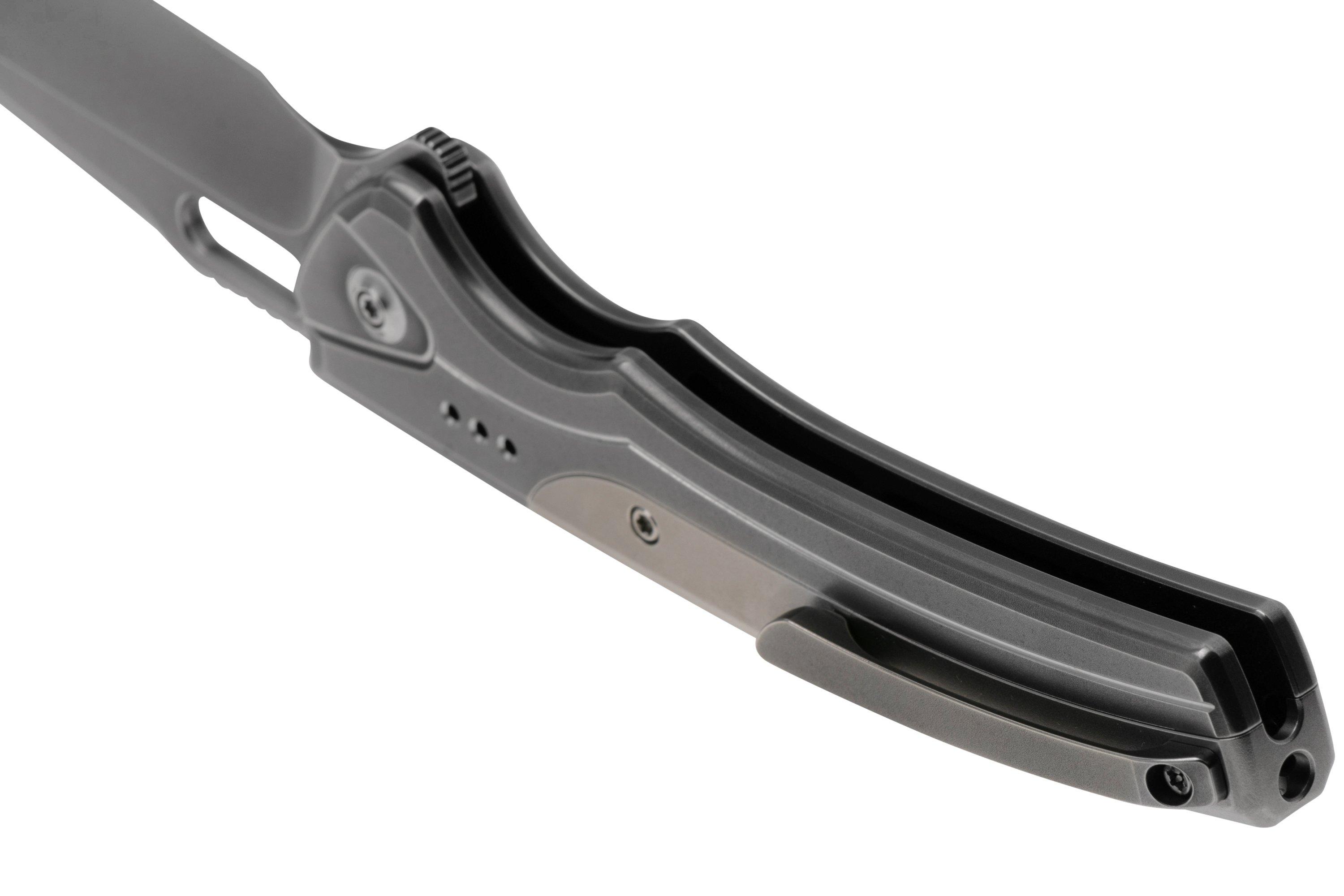 WE Knife Exciton WE22038A-7 Polished Gray CPM 20CV Blade, Polished Gray ...