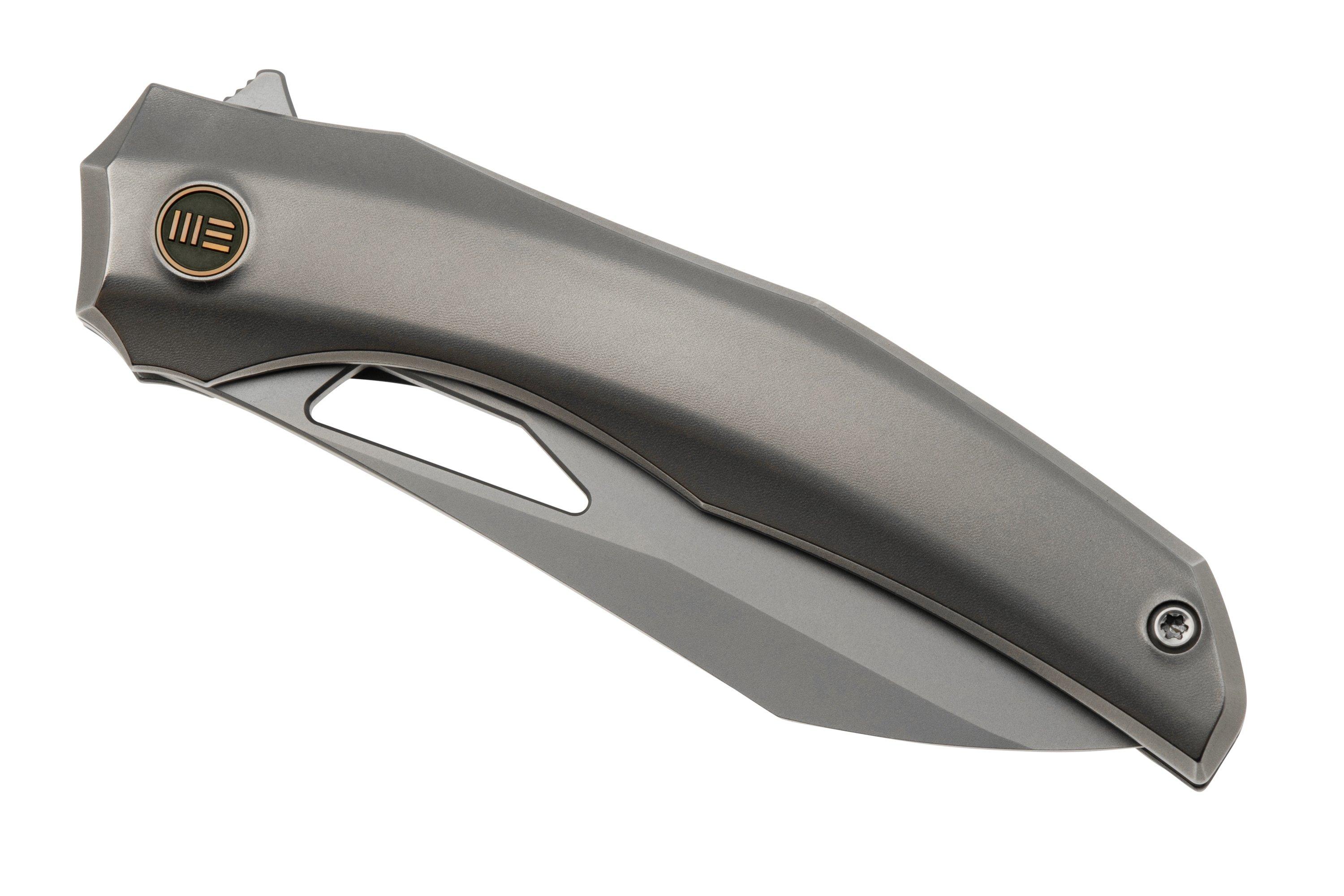 WE Knife Ignio WE22042B-4, Silver Bead Blasted CPM 20CV, Bead Blasted ...