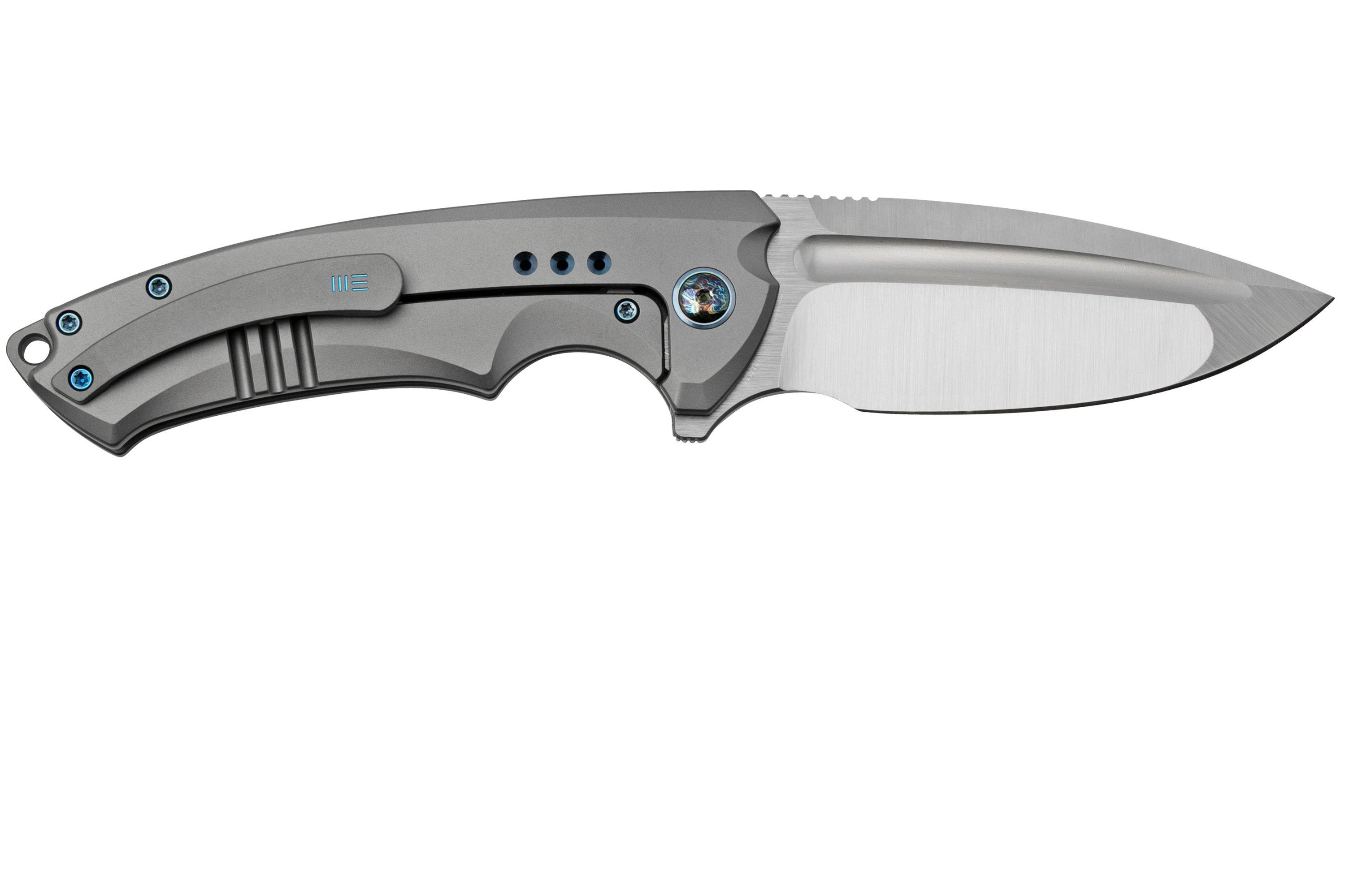 WE Knife Nexusia WE22044-2 Gray Titanium, Hand Polished Satin Blade ...