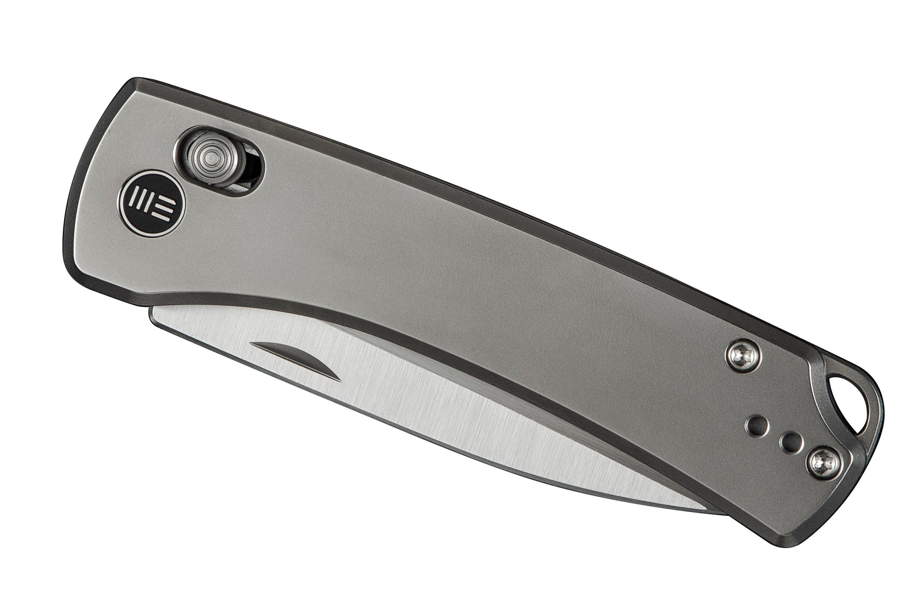 WE Knife Nightblade WE22046-2 Hand Rubbed CPM 20CV, Bead Blasted ...