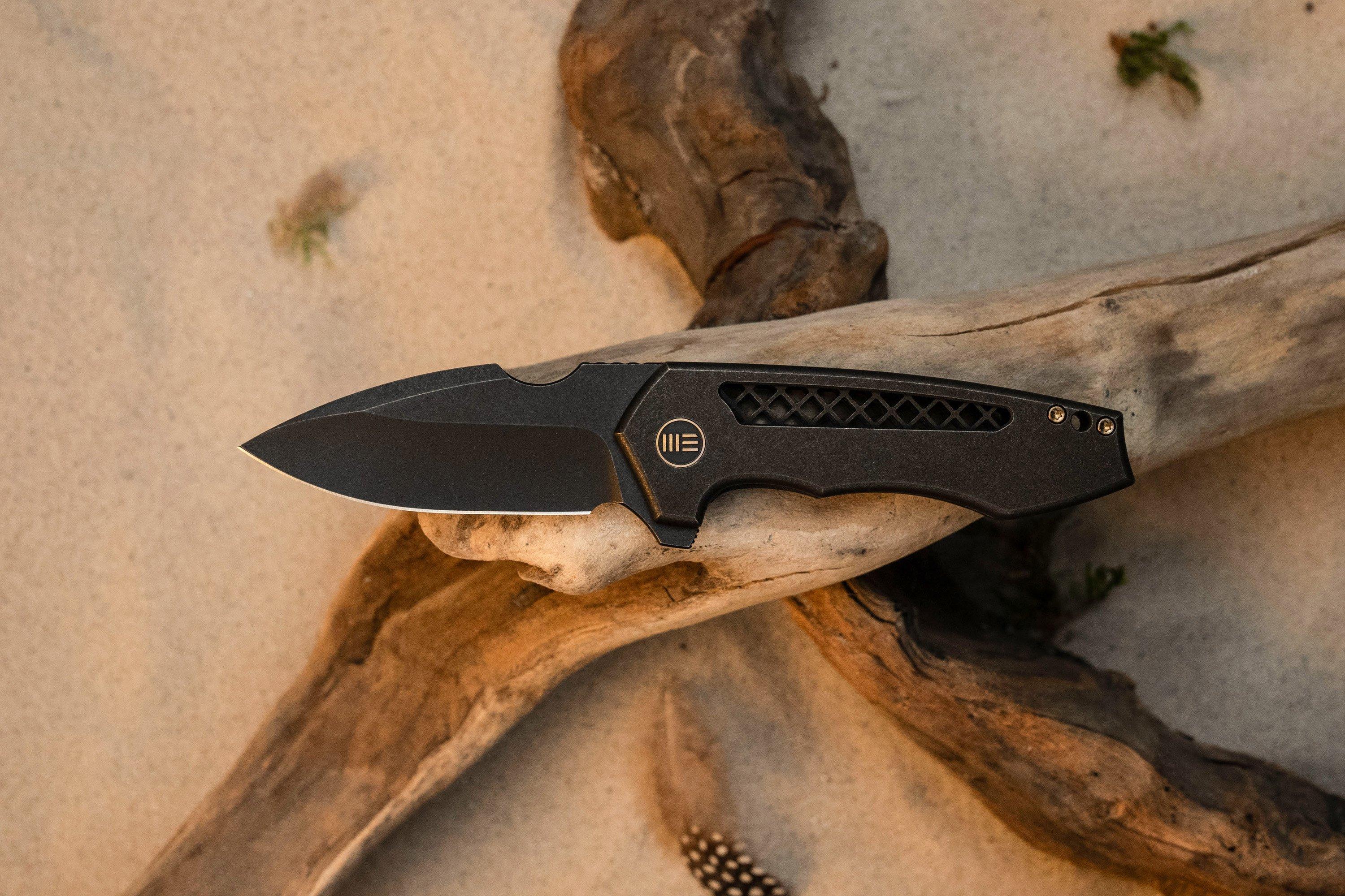 WE Knife Harpen WE23019-1 Black Titanium, pocket knife, Michael Burch ...