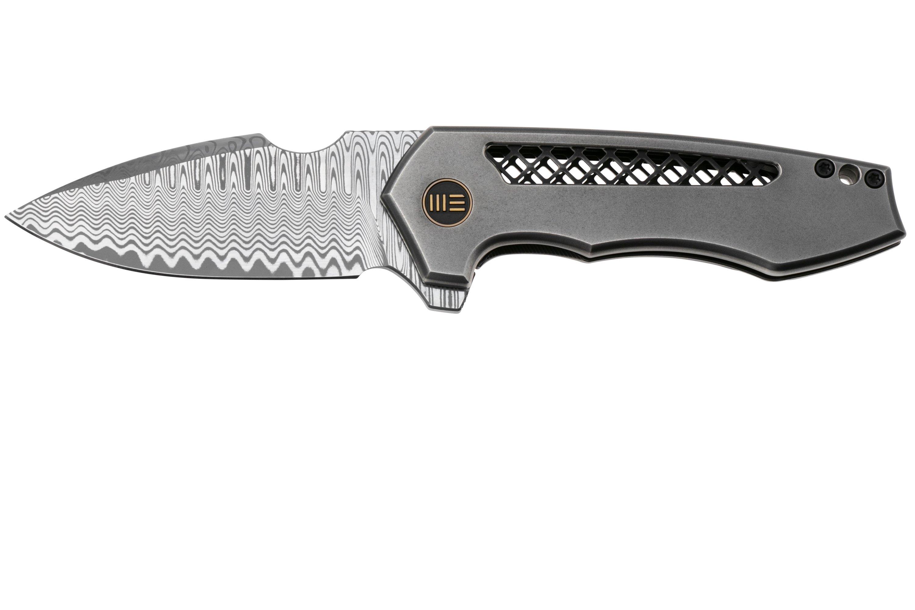 WE Knife Harpen WE23019-DS1 Hugin Damasteel, Polished Gray Titanium ...