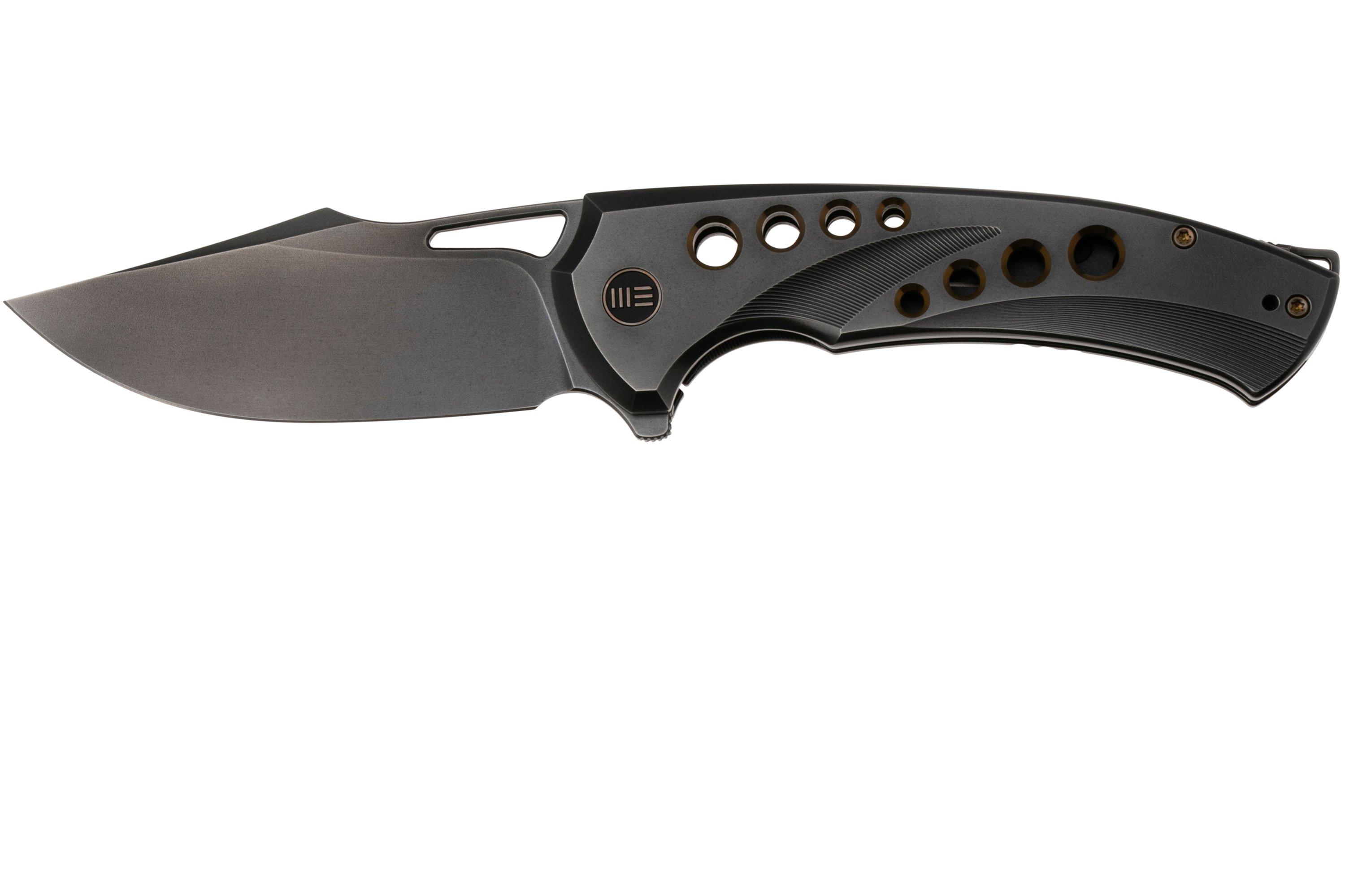 WE Knife Swiftfin WE23051-3 Polished Gray CPM 20CV, Gray Titanium, Dark ...