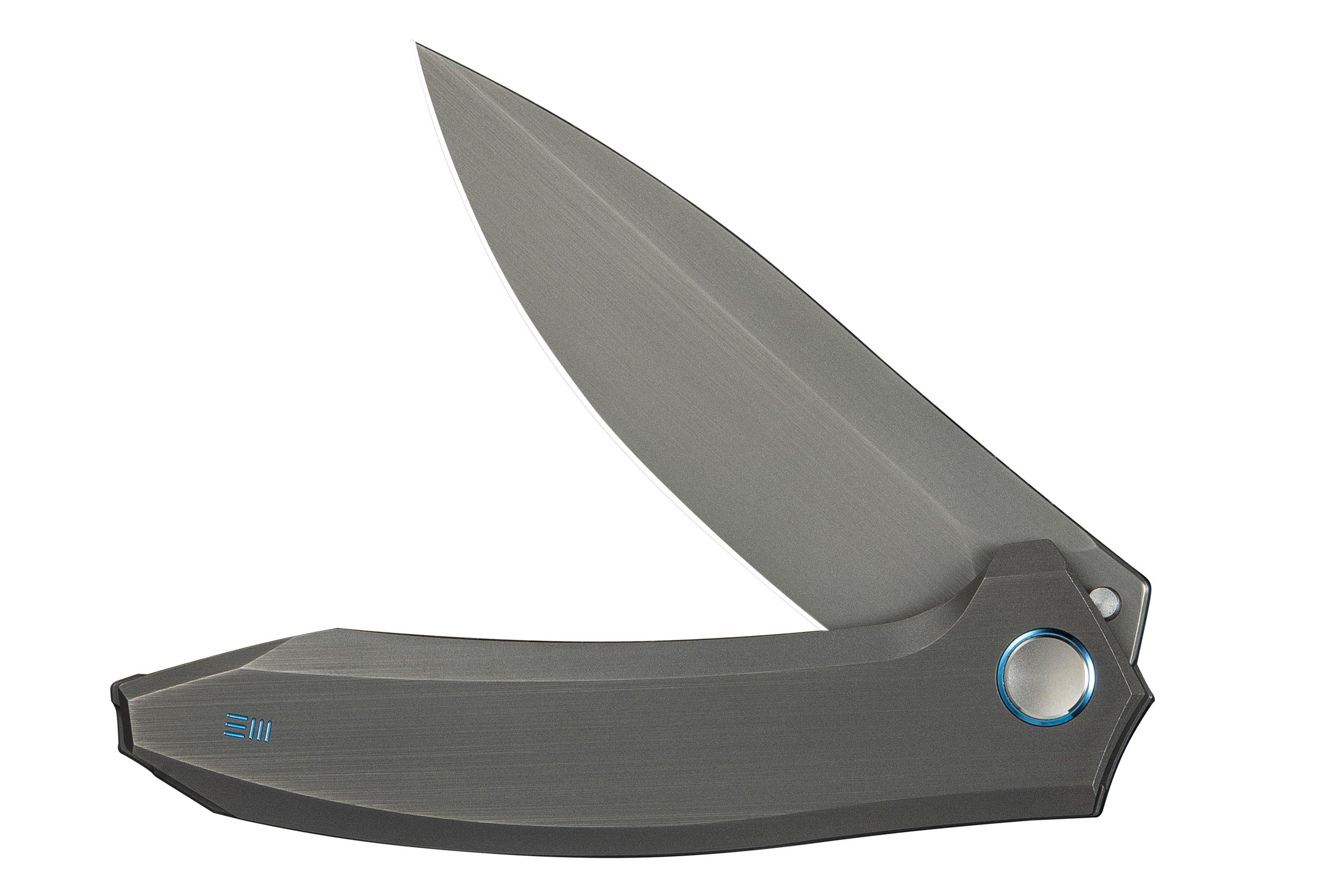 WE Knife Acuminal WE23070-3 Gray Vanax, Gray Titanium, pocket knife ...