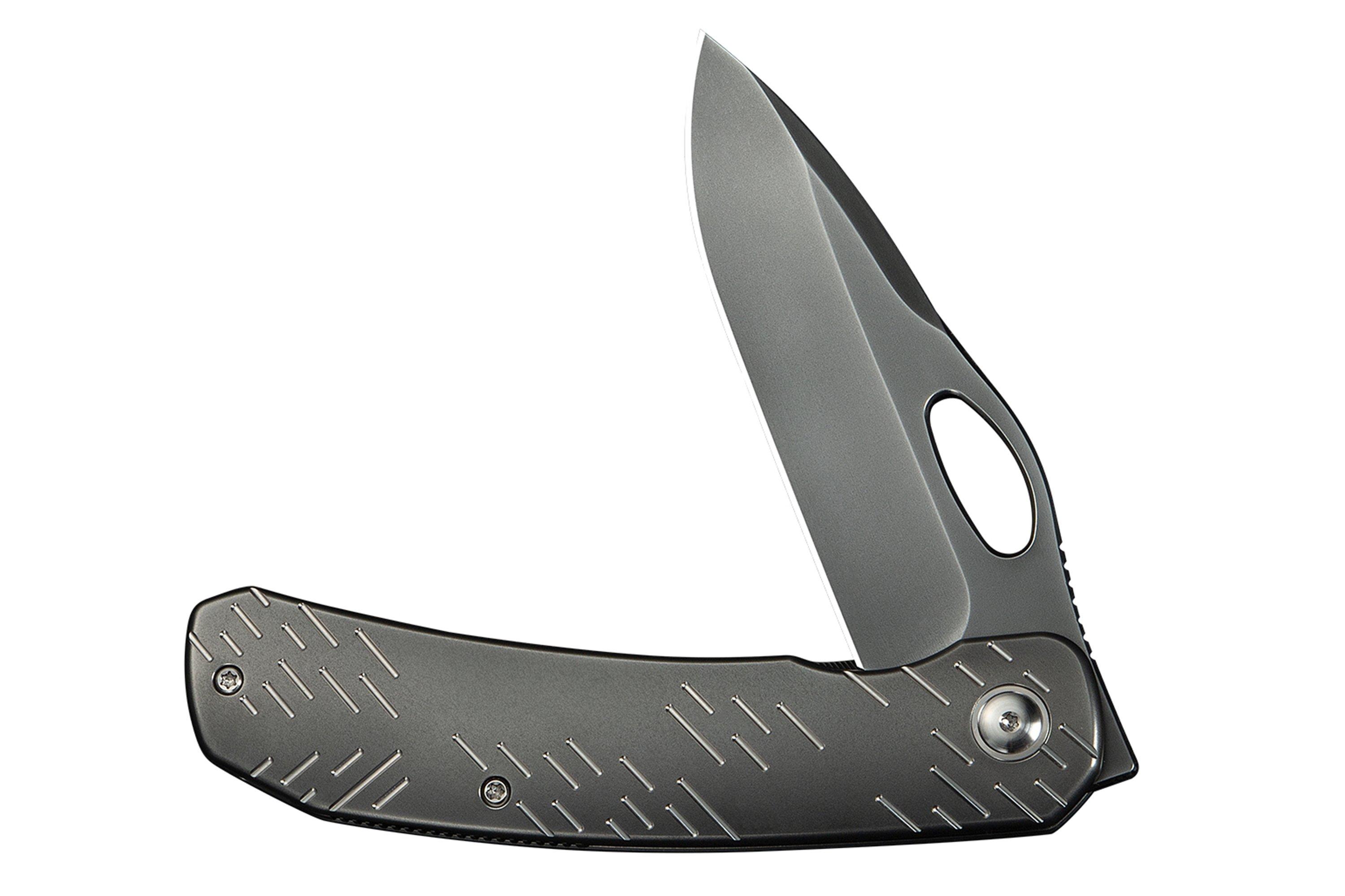 WE Knife Inmate WE23096B-4, Polished Gray CPM 20CV, Gray Titanium Satin ...