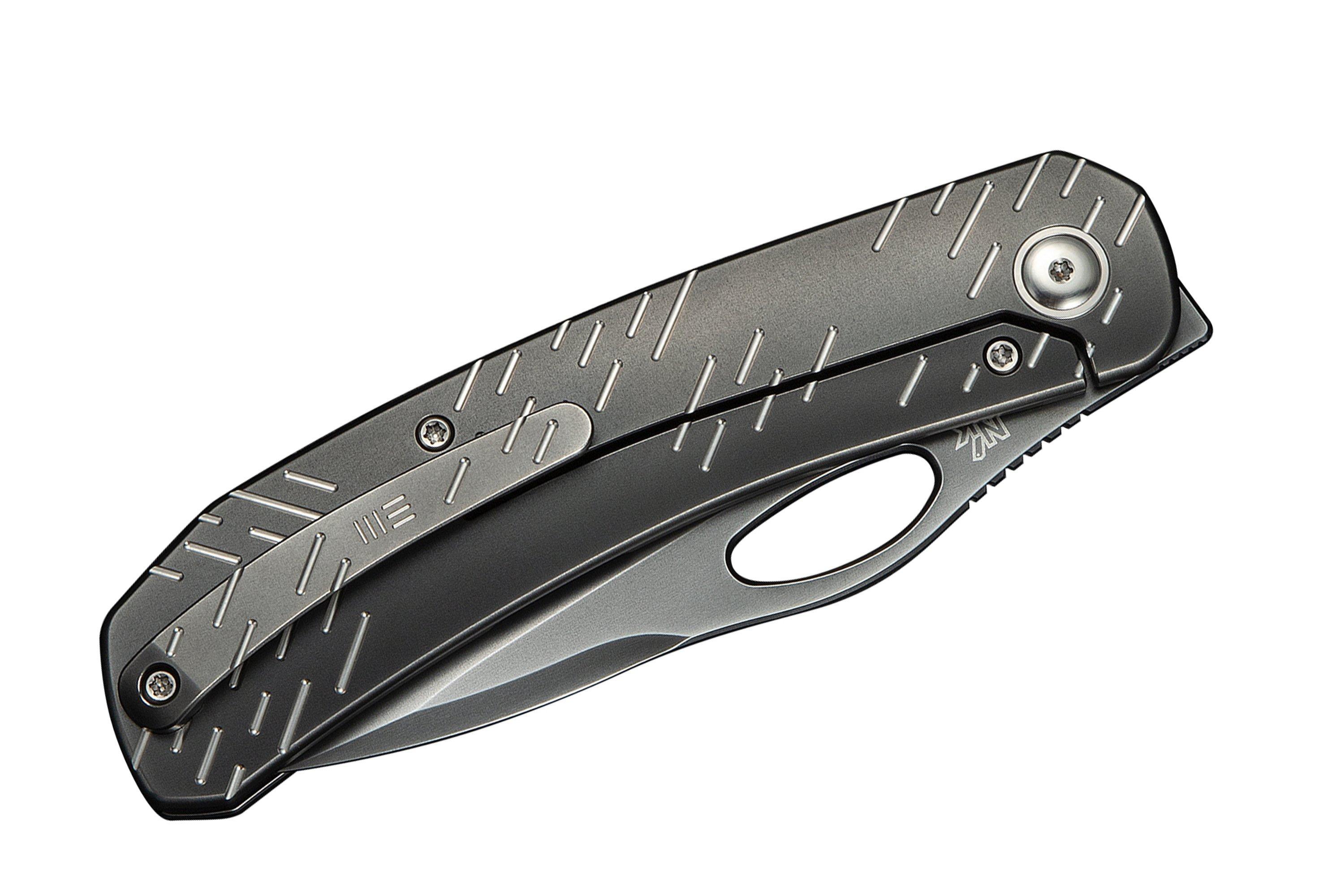 WE Knife Inmate WE23096B-4, Polished Gray CPM 20CV, Gray Titanium Satin ...