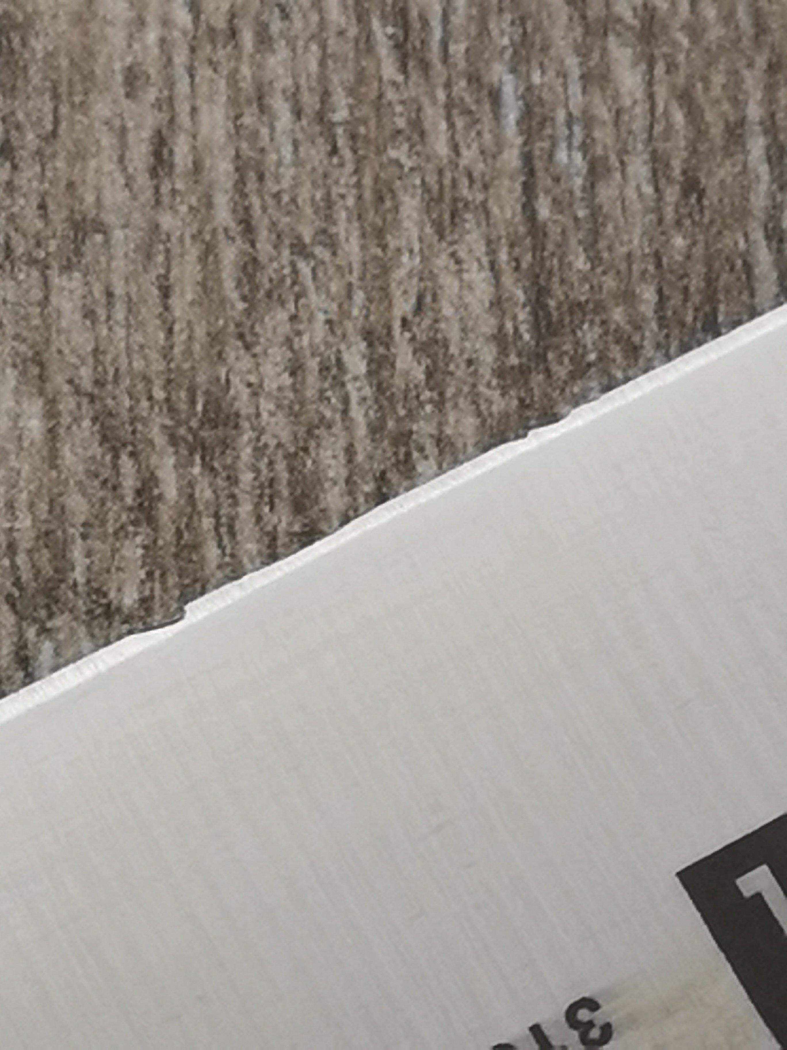 Zwilling 35601-100 Professional S 2-piece Carving set | Advantageously ...