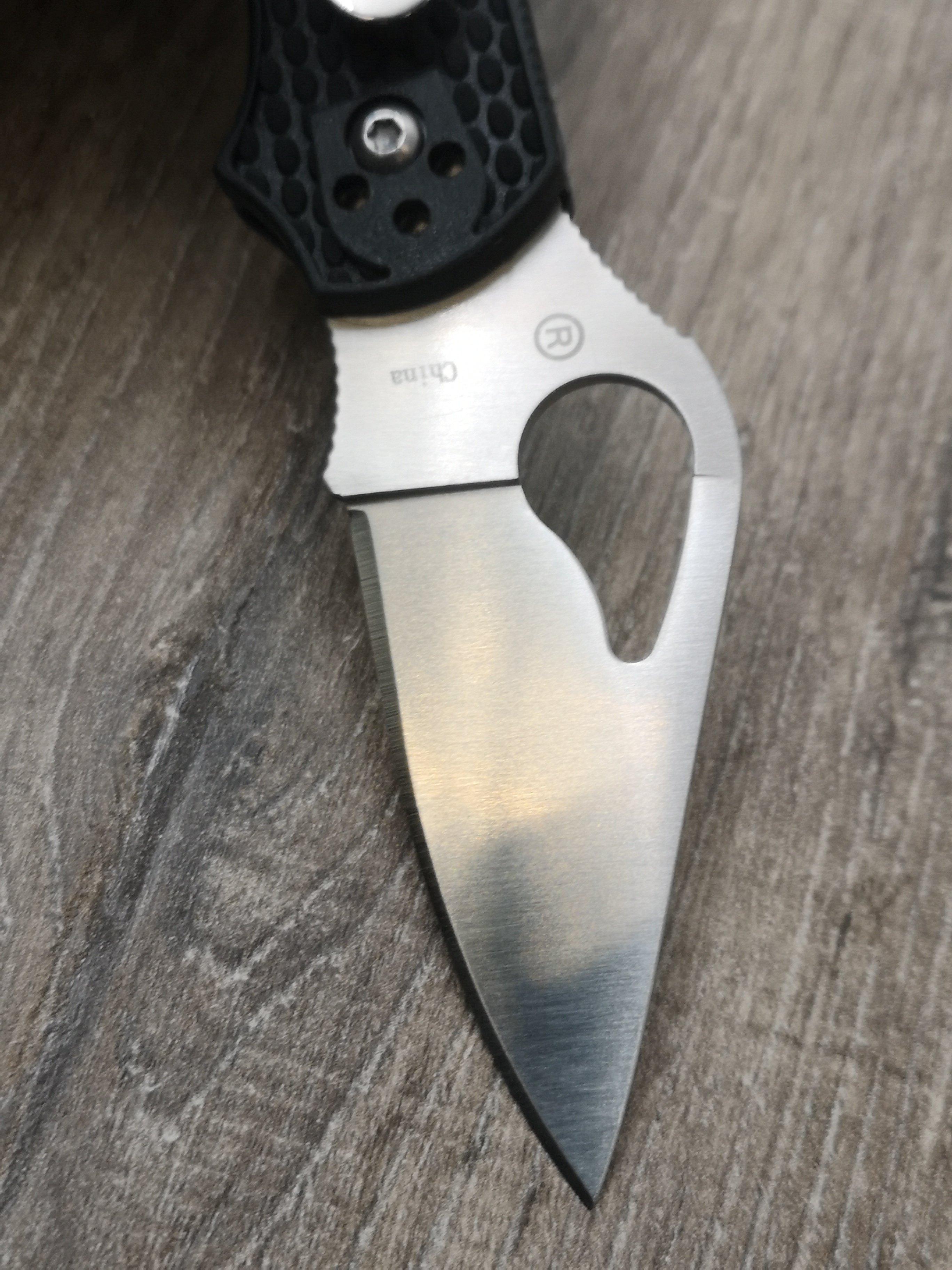 Spyderco Byrd Robin 2 Zwart BY10PBK2 pocket knife | Advantageously ...