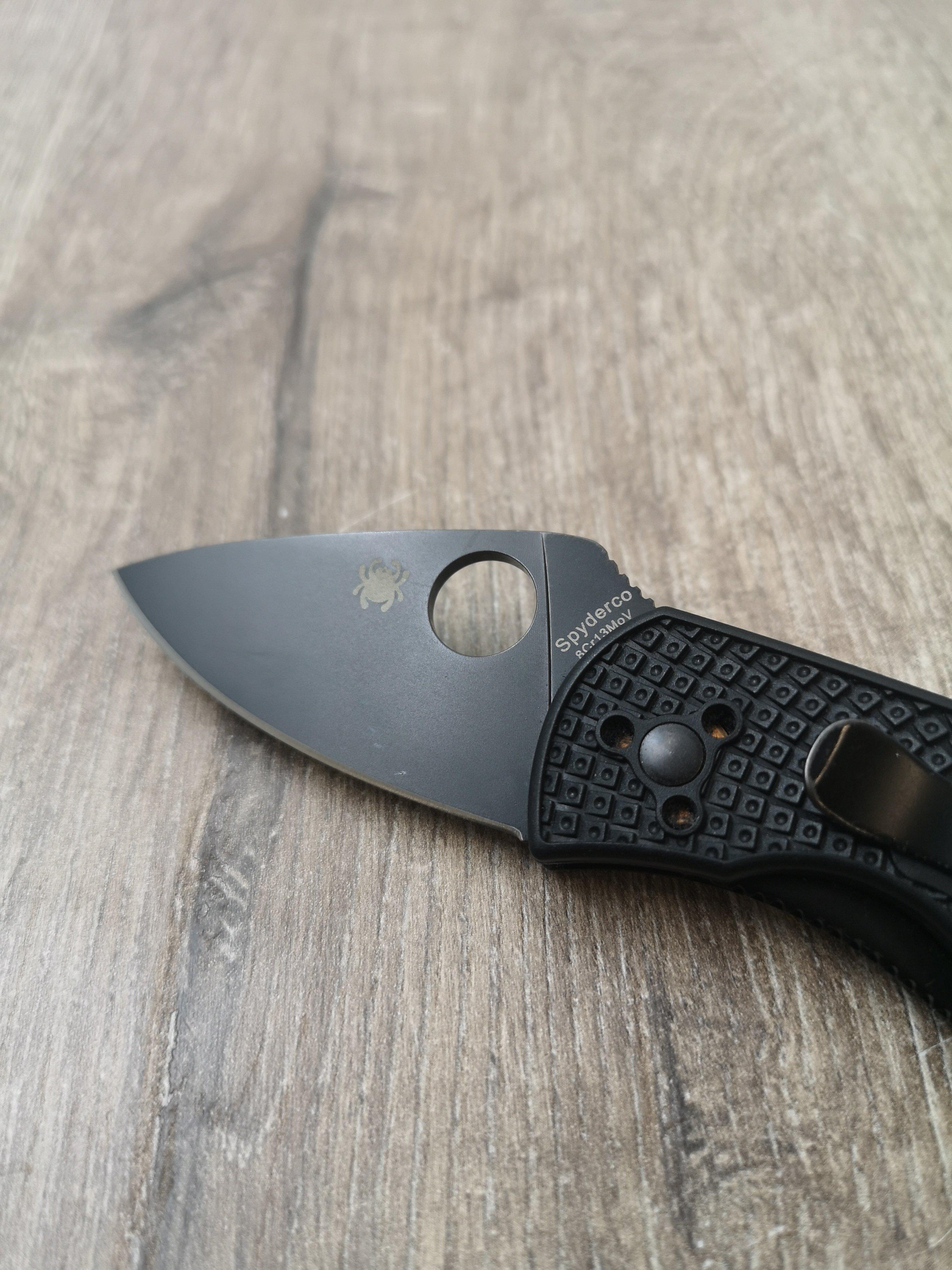 Spyderco Ambitious Lightweight Black C148PBBK pocket knife ...