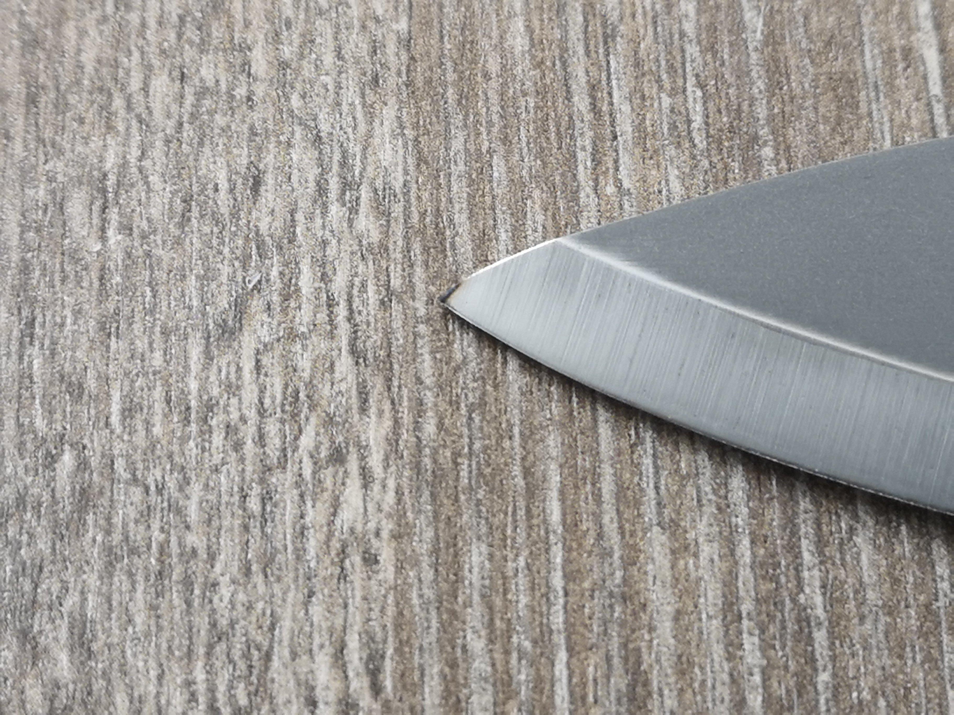 Condor Bushlore 232-4.3HC bushcraft knife 60004 | Advantageously ...